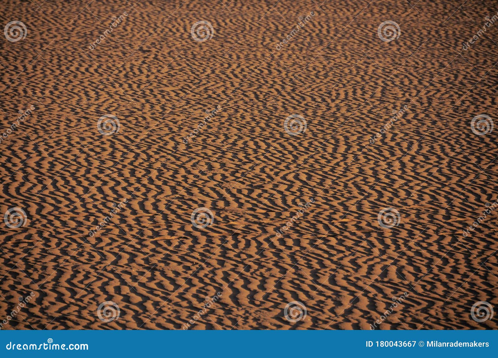 Tilted Beach Royalty-Free Stock Photo | CartoonDealer.com #12407415