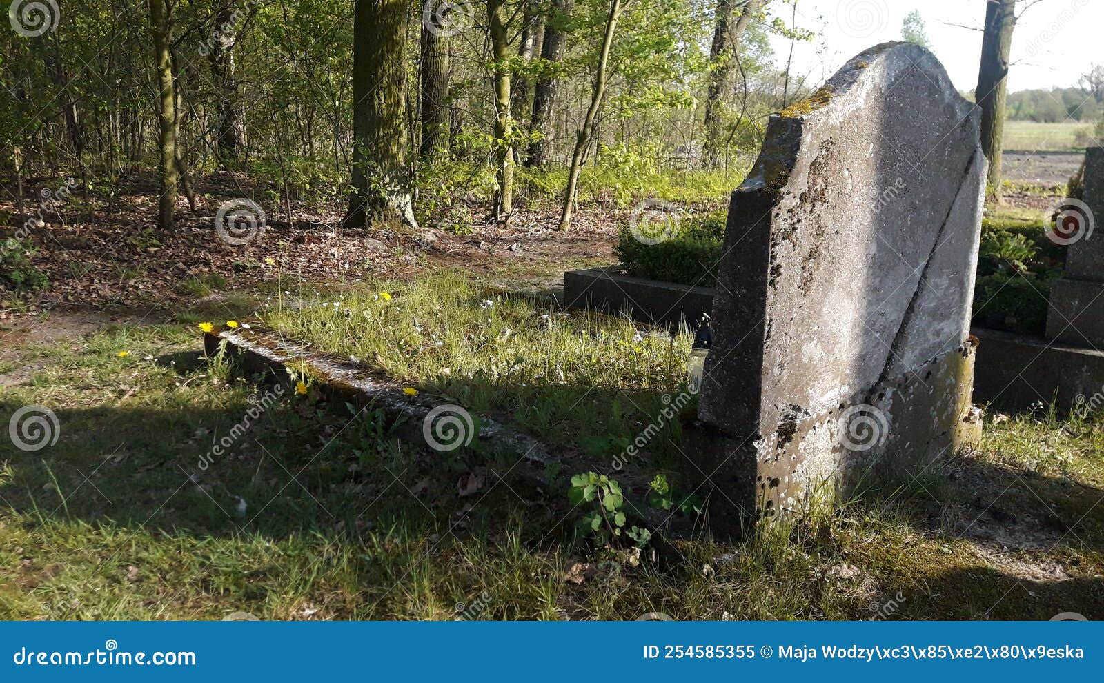 Tilted Graveston on a Forgotten Graveyard Stock Image - Image of garden ...