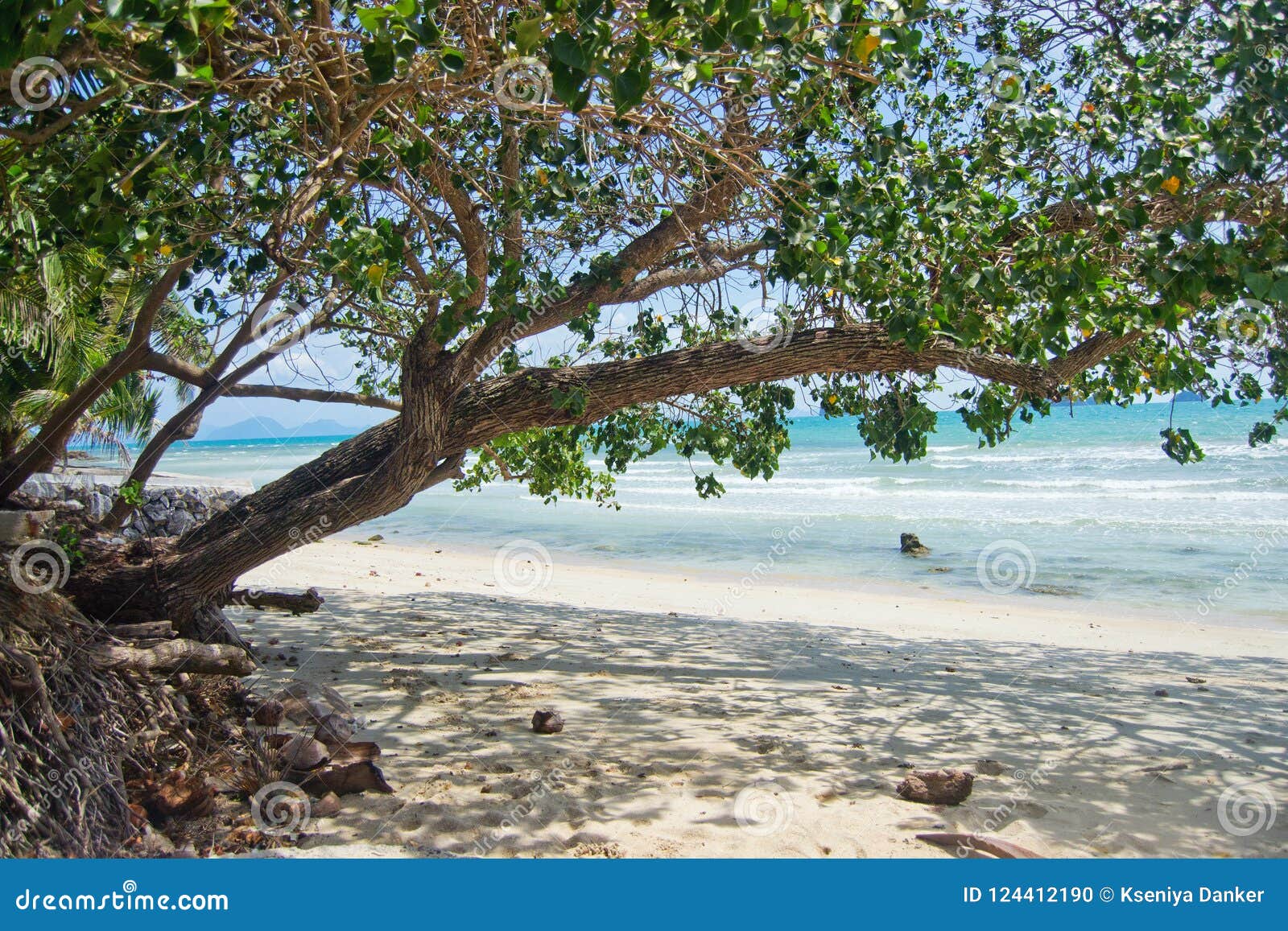 Wild Beach on Koh Samui. Thailand Stock Photo - Image of island, green ...