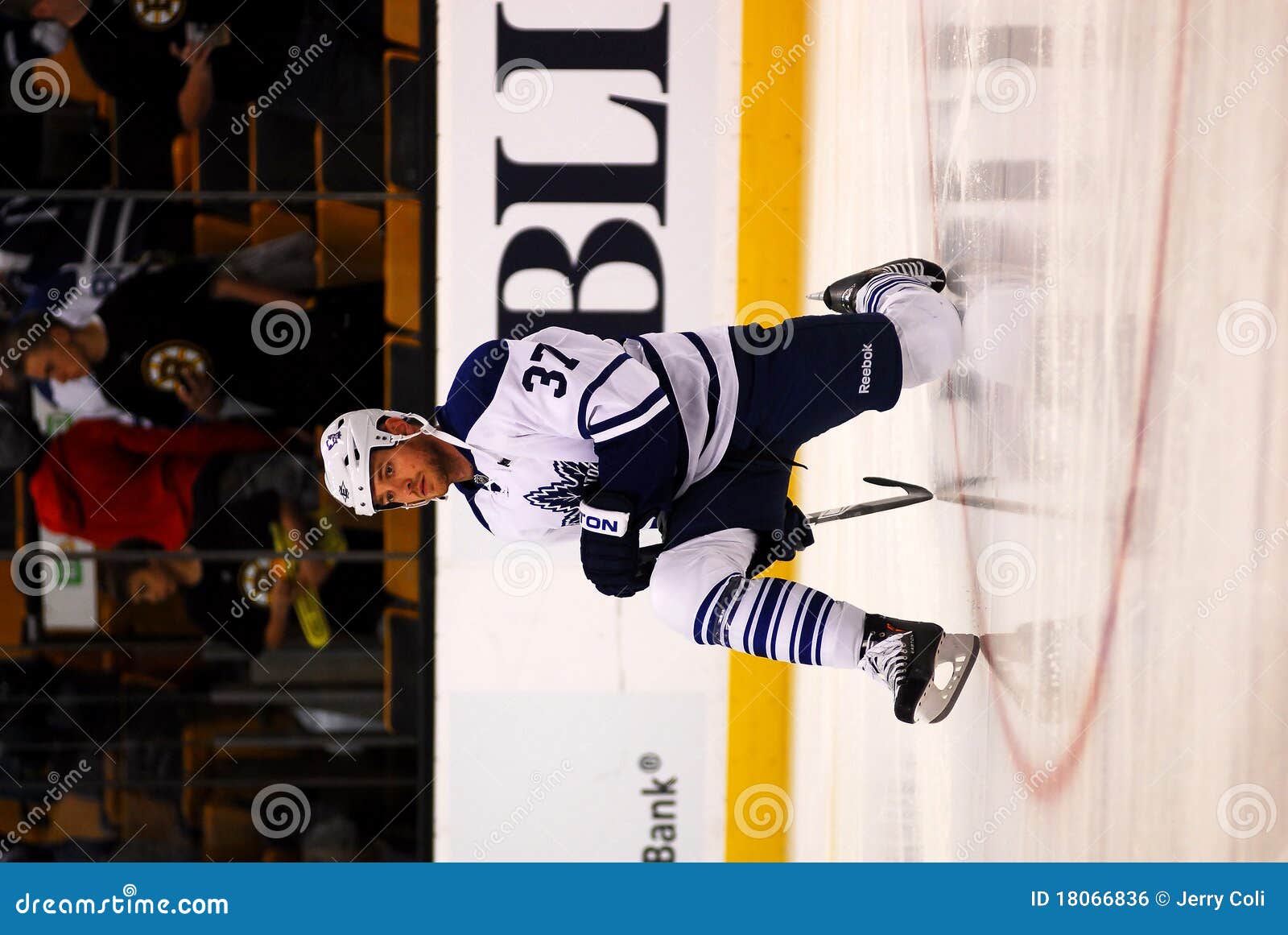 Tim Brent Toronto Mapleleafs Editorial Photo - Image of games, sports ...