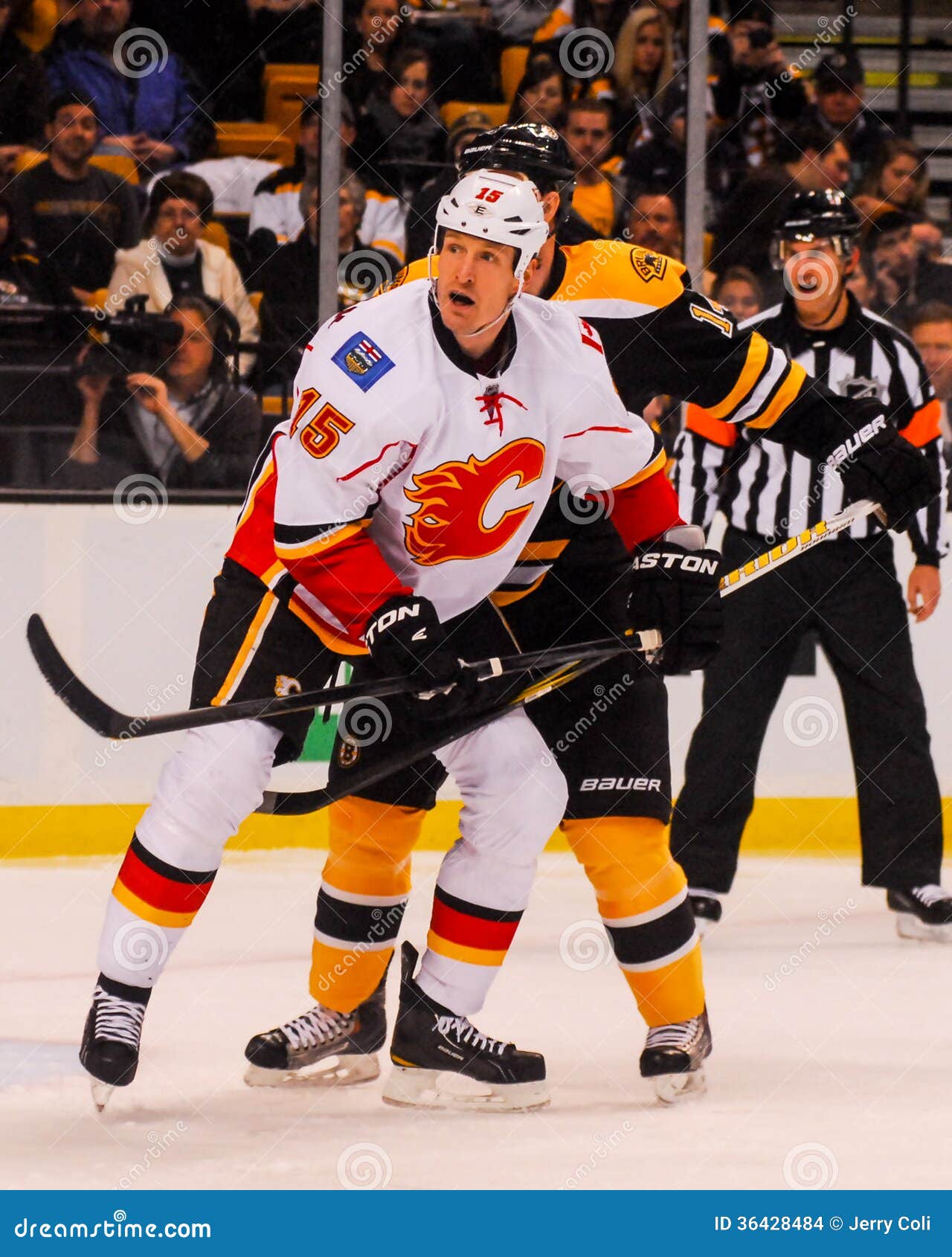 Tim Jackman Calgary Flames #15 Imagen de archivo editorial - Imagen de ...
