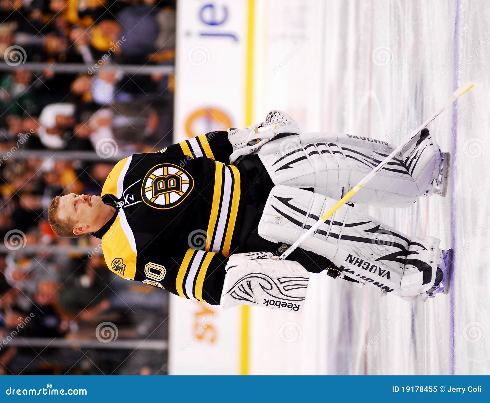 Tim Thomas editorial image. Image of game, conference - 19178455