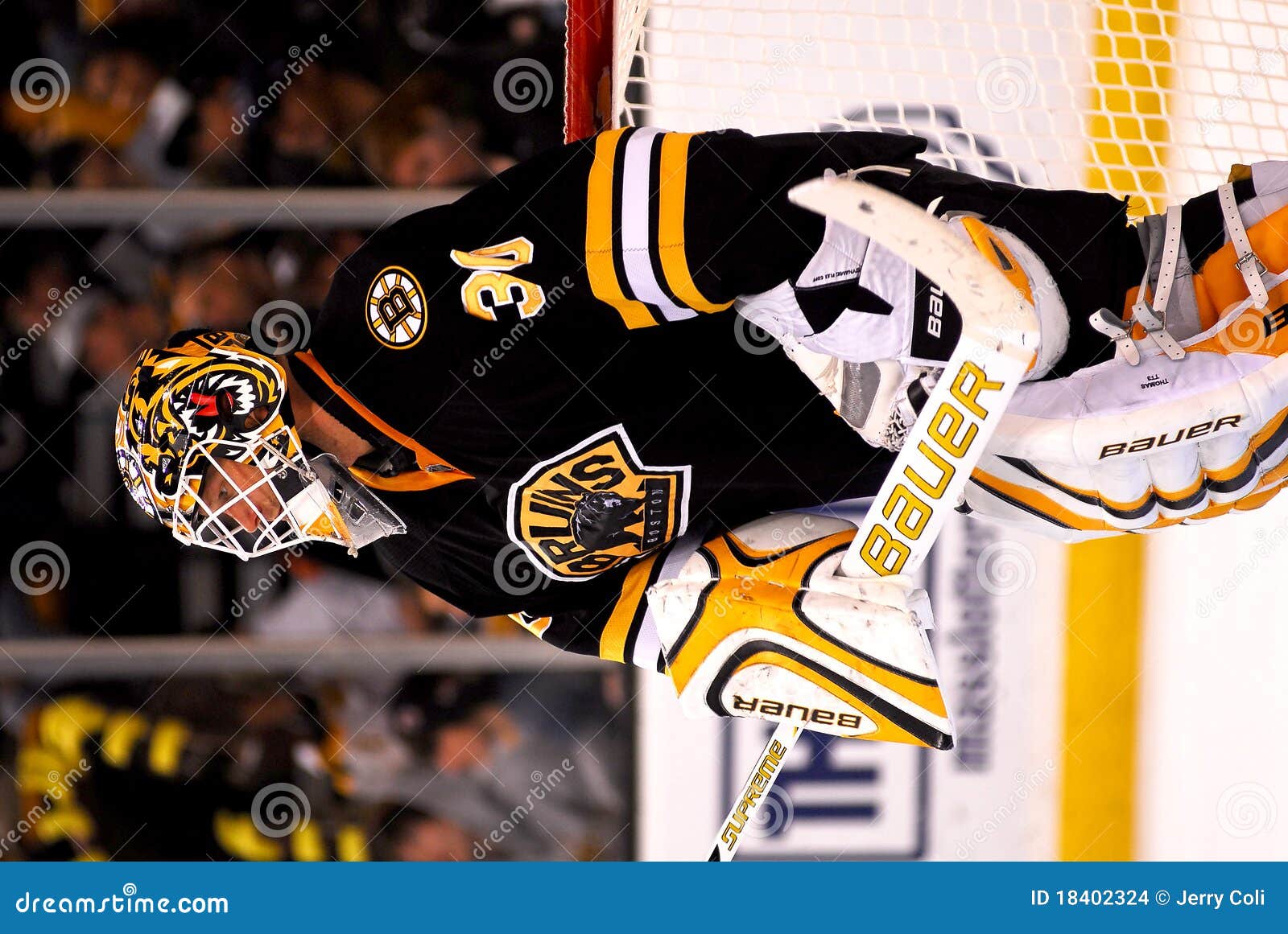 Tim Thomas Boston Bruins editorial stock image. Image of winter - 18402324