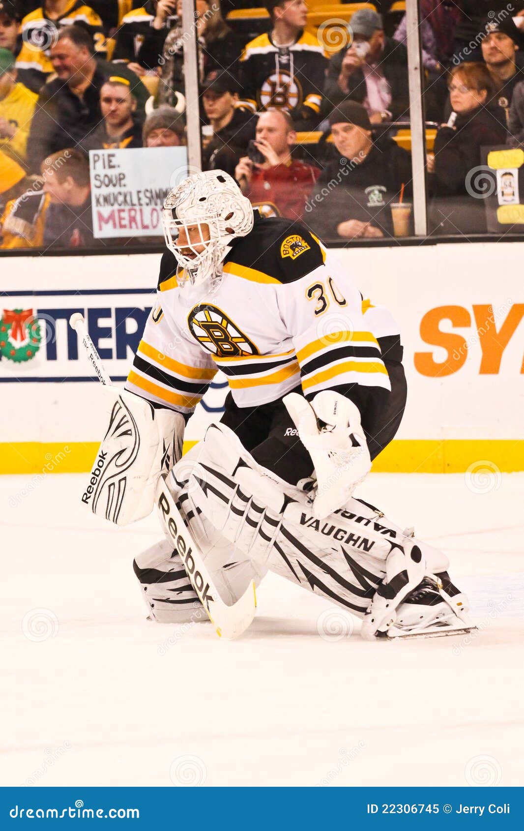 Tim Thomas Boston Bruins editorial image. Image of professional - 22306745