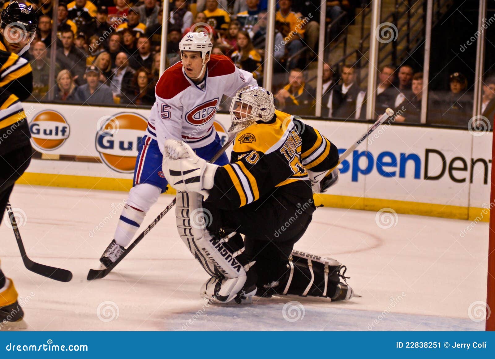 Tim Thomas Boston Bruins editorial photo. Image of vaughn - 22838251