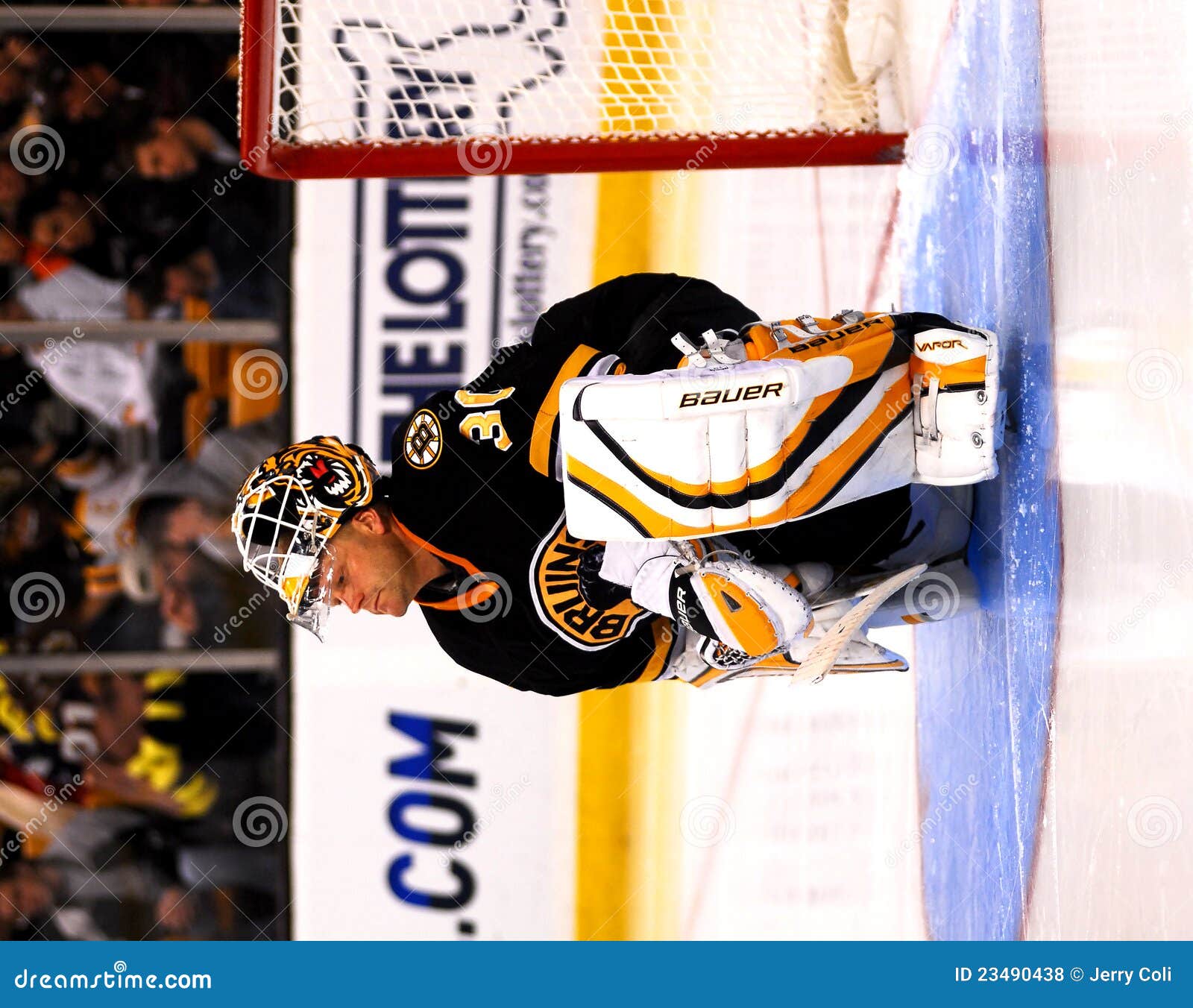 Tim Thomas Boston Bruins editorial stock photo. Image of thomas - 23490438