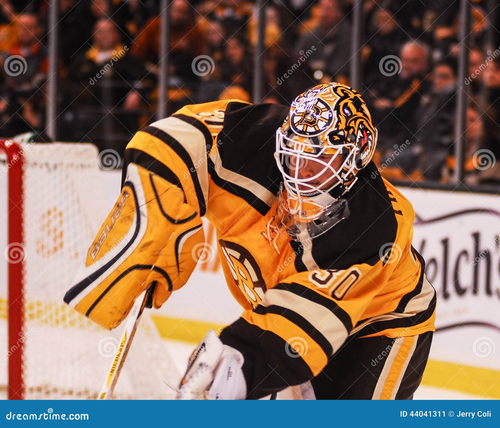 Tim Thomas Boston Bruins. editorial photo. Image of hockey - 44041311