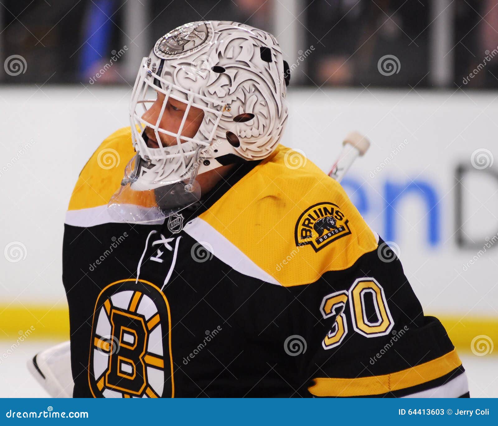 Tim Thomas, Boston Bruins editorial stock photo. Image of goalie - 64413603