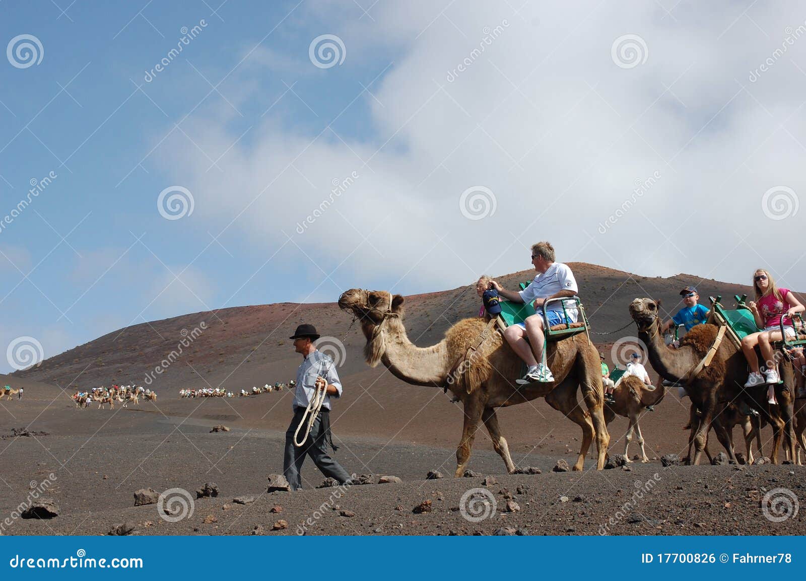 Timanfaya national park editorial photo. Image of animal - 17700826