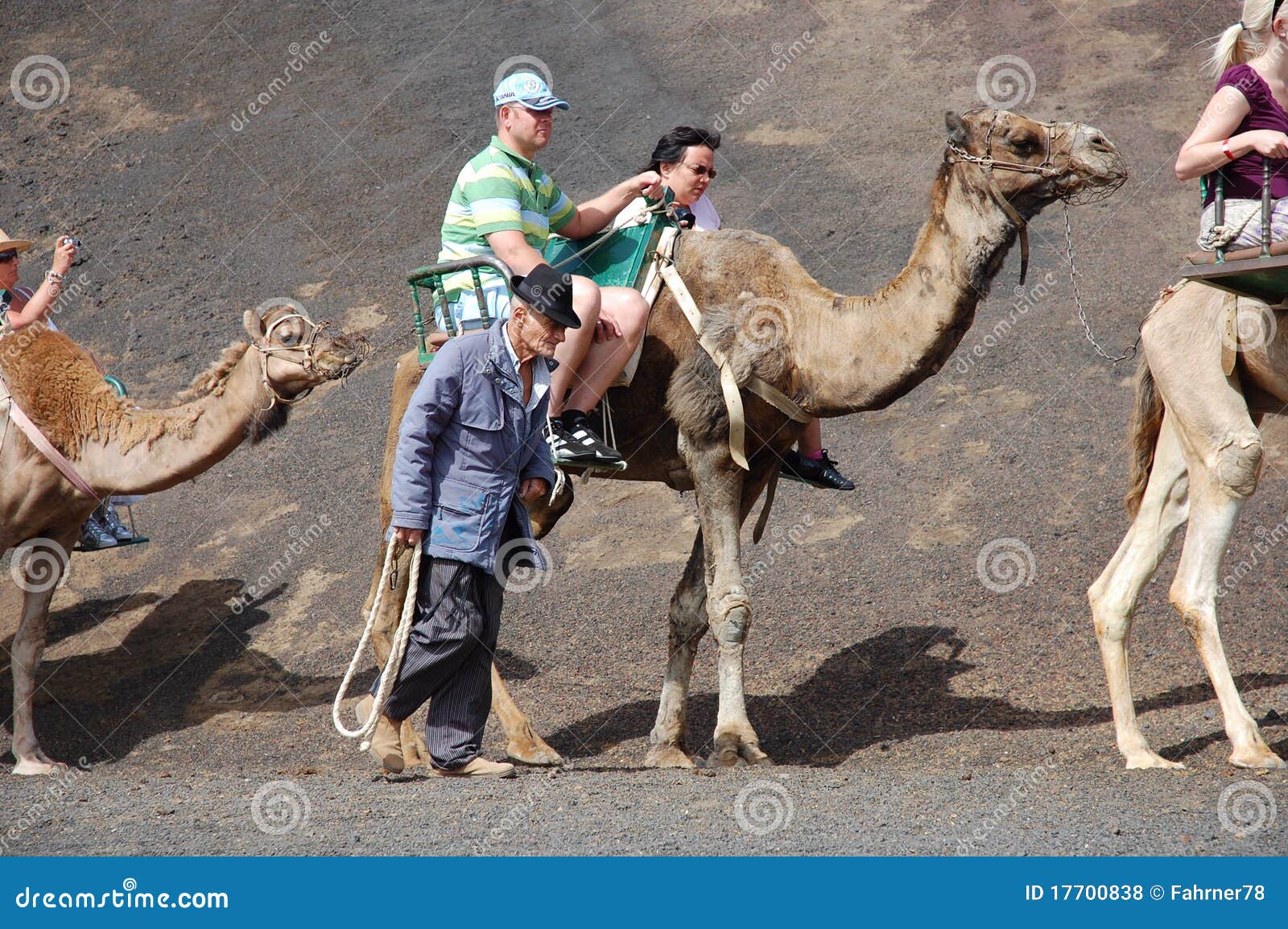 Timanfaya national park editorial stock photo. Image of guide - 17700838