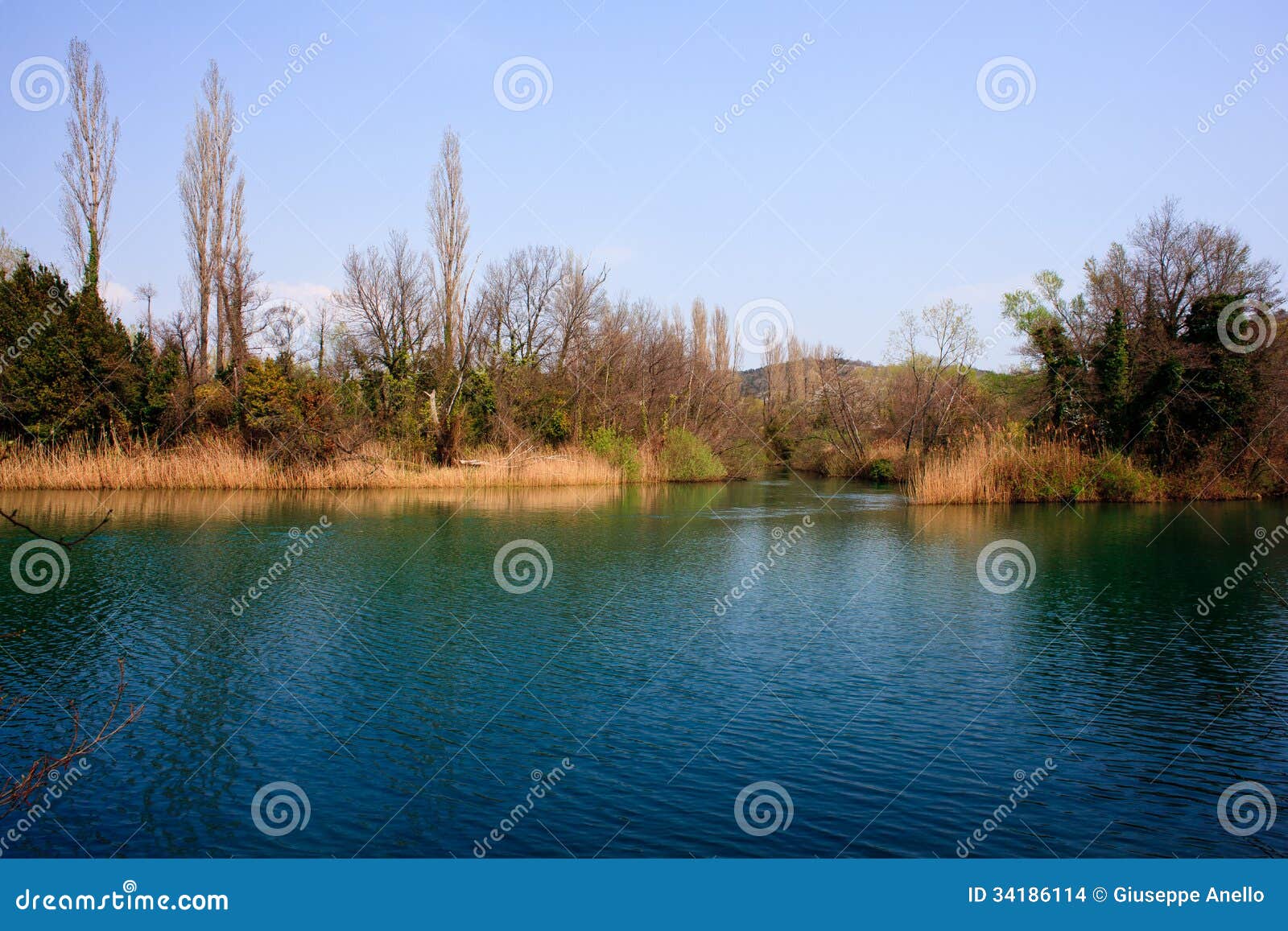 Timavo river stock photo. Image of trieste, trees, river - 34186114