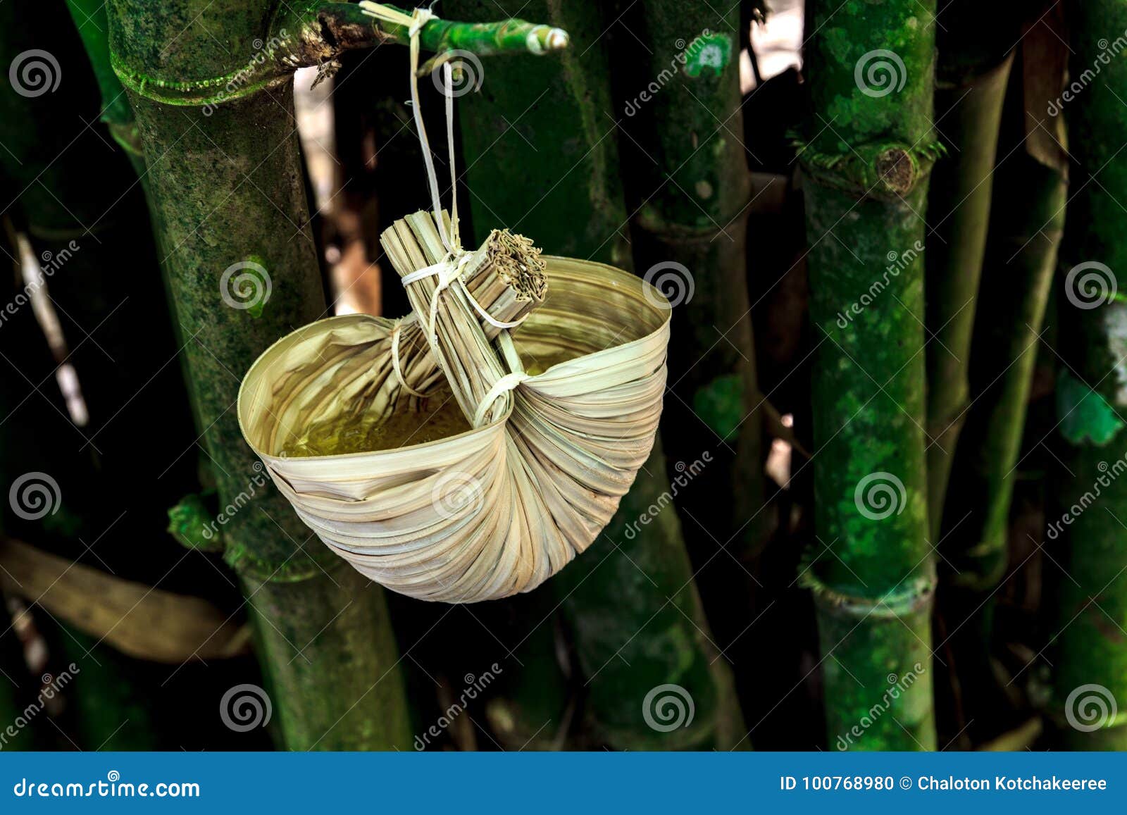 Timba is a container stock photo. Image of timba, life - 100768980