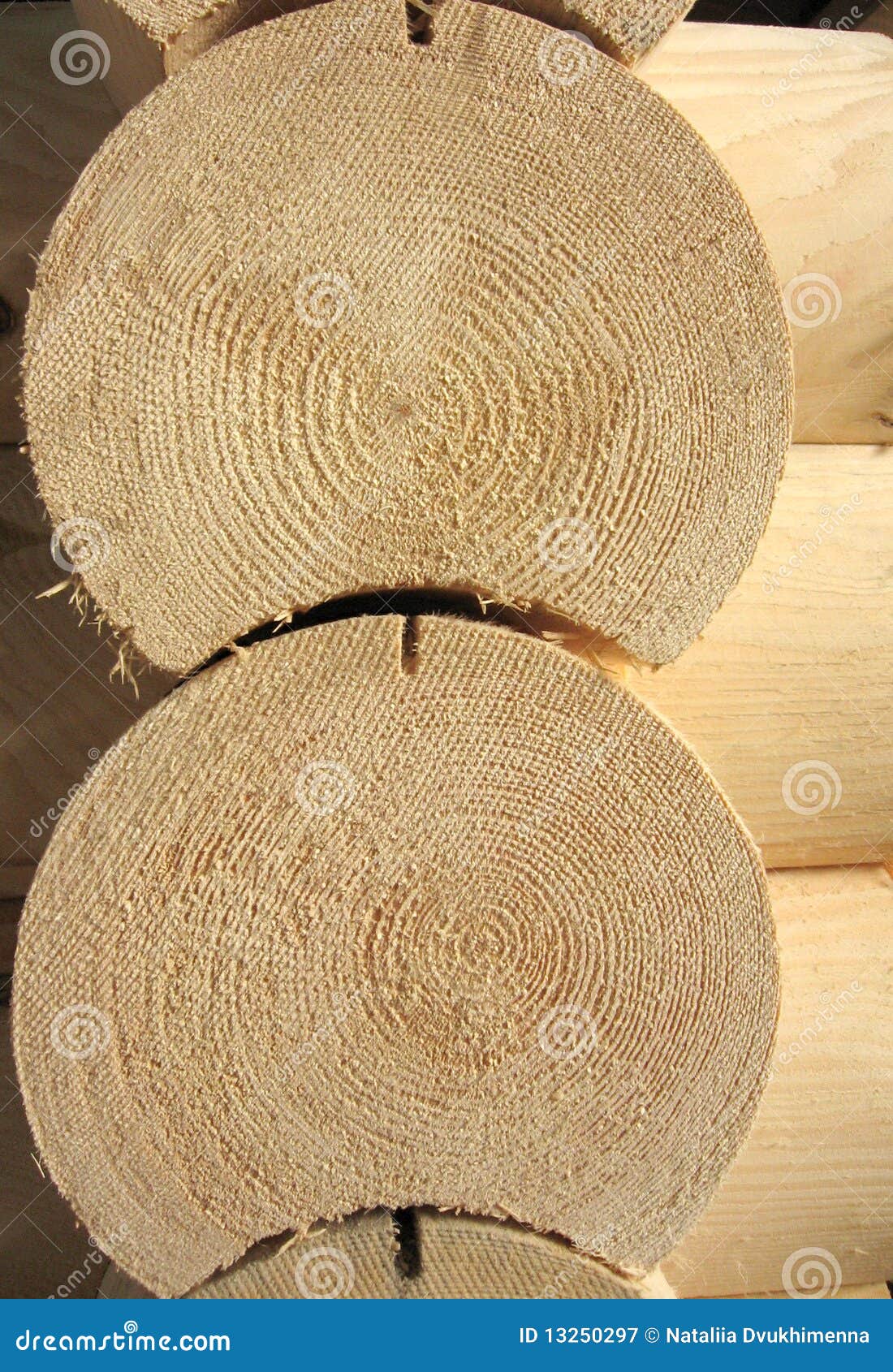 Timber stock image. Image of circles, wall, cutdown, white - 13250297