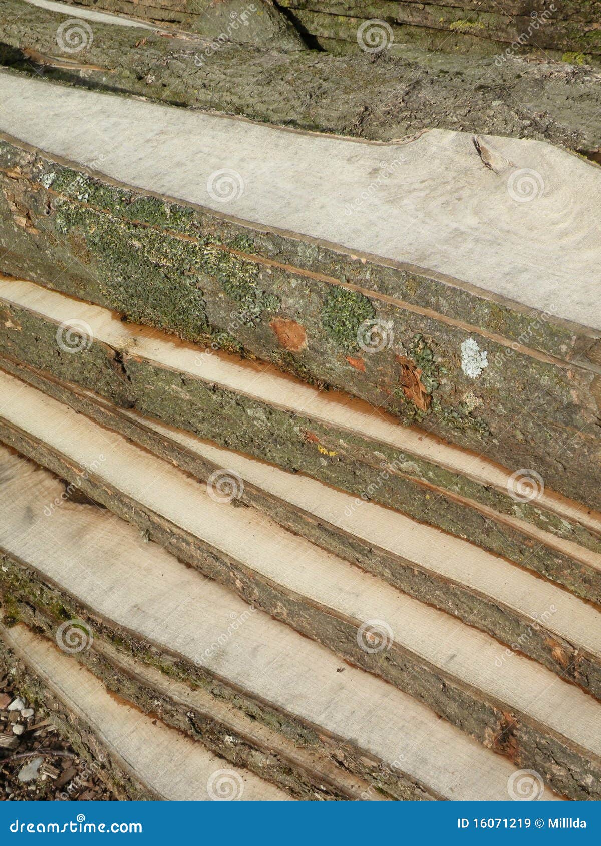 Timber stock image. Image of building, construction, floor - 16071219