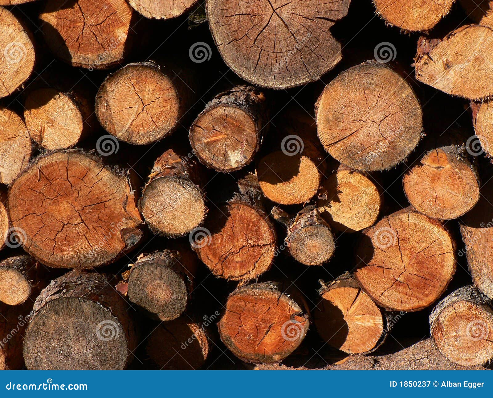Timber stock image. Image of rings, texture, pattern, graded - 1850237