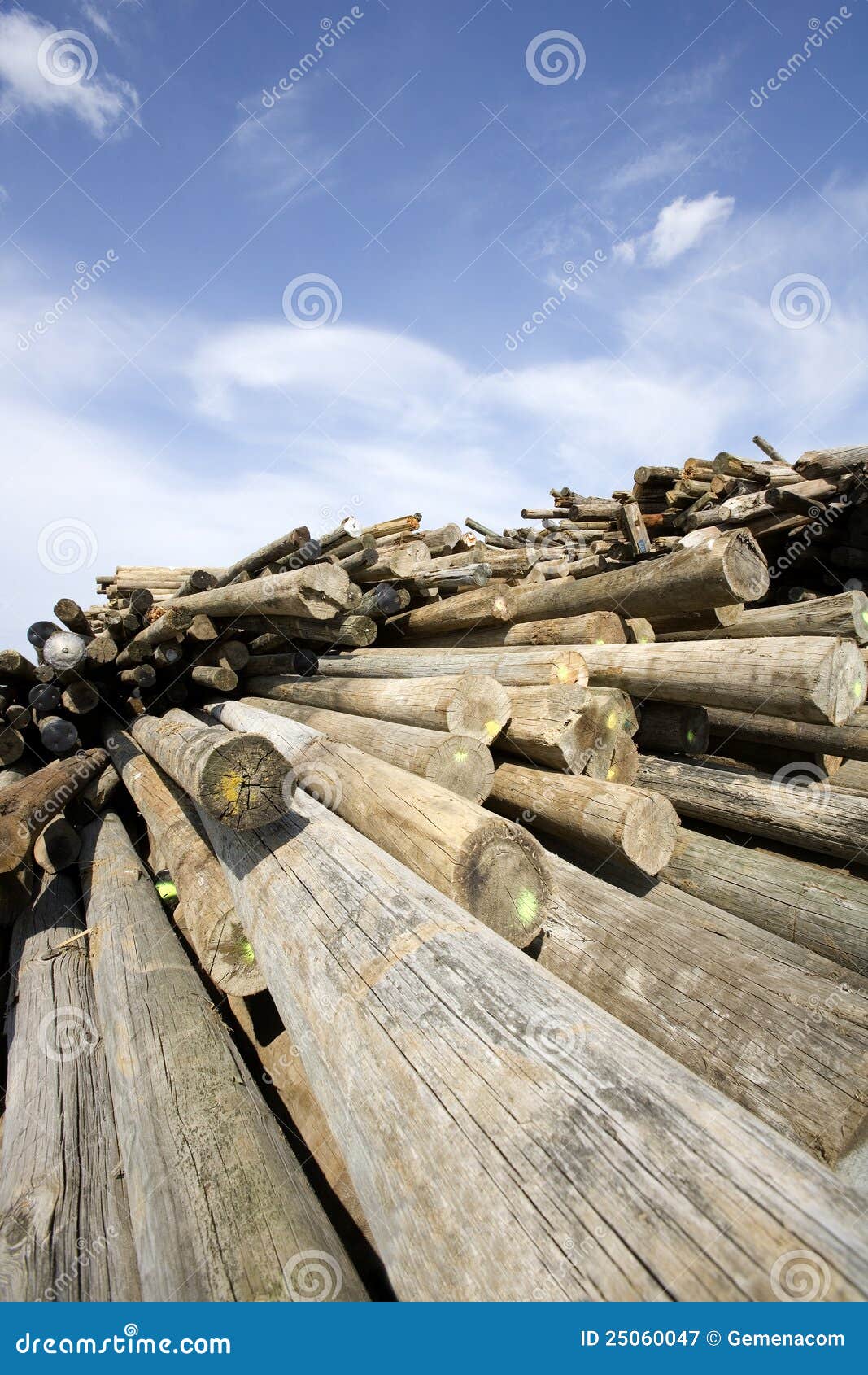 Timber stock image. Image of trunk, wood, lumber, timber - 25060047