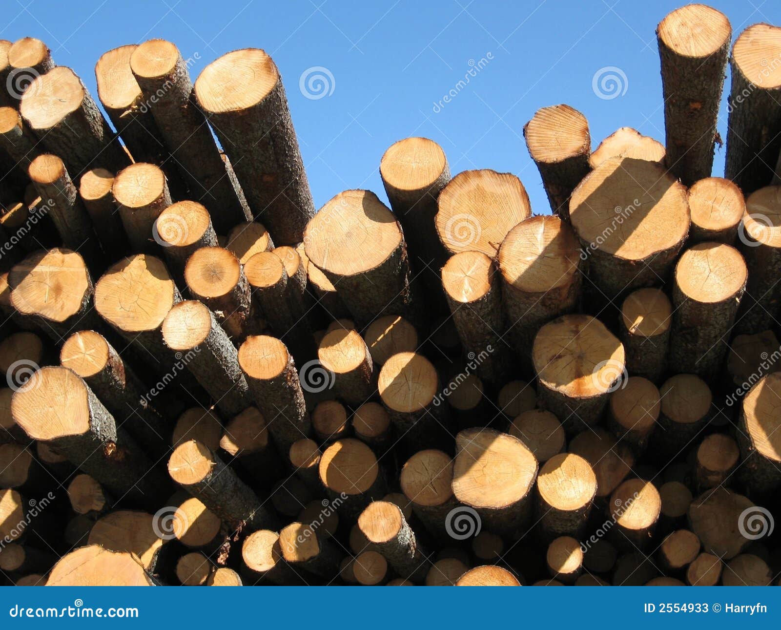 Timber stock image. Image of timber, material, industry - 2554933