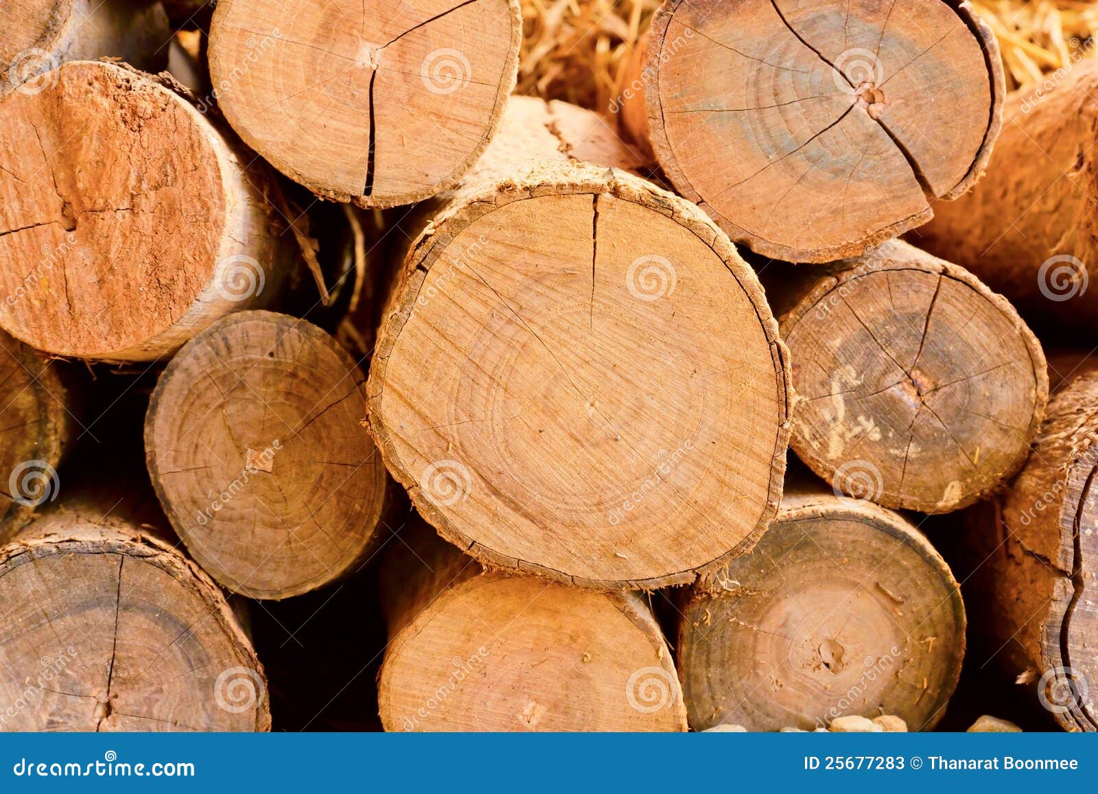 Timber stock image. Image of lumber, chopping, forestry - 25677283