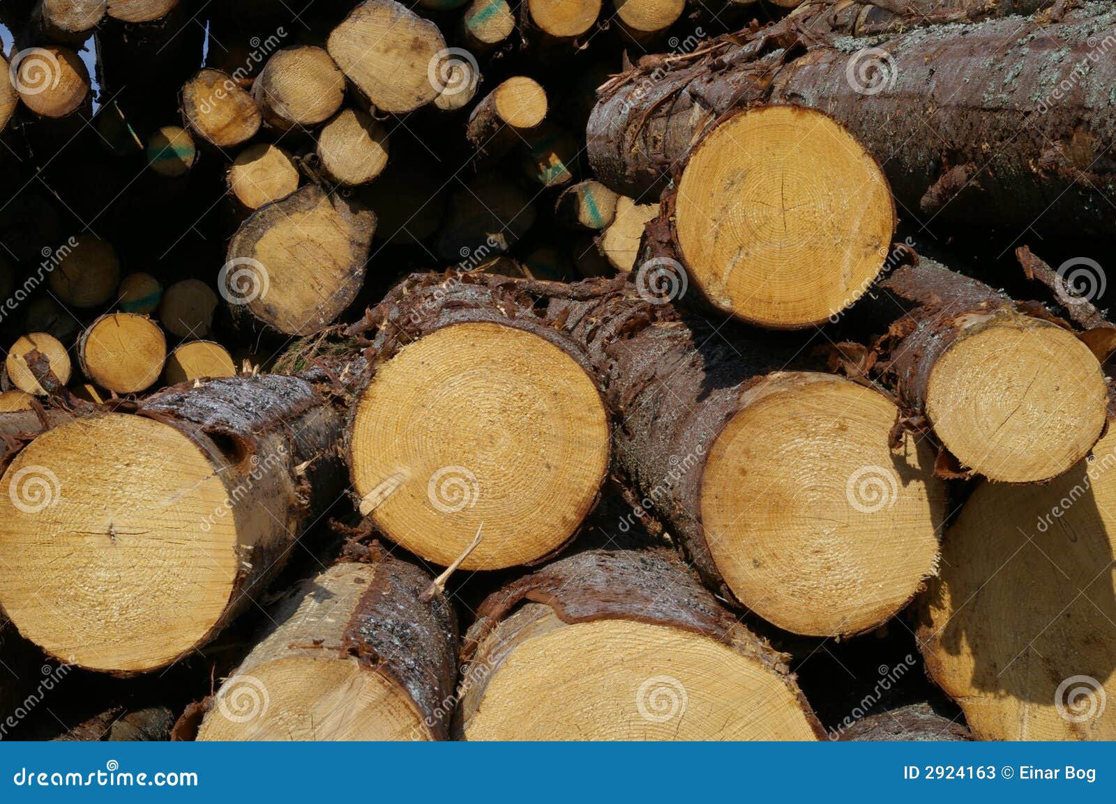 Timber stock image. Image of texture, wood, mill, timber - 2924163