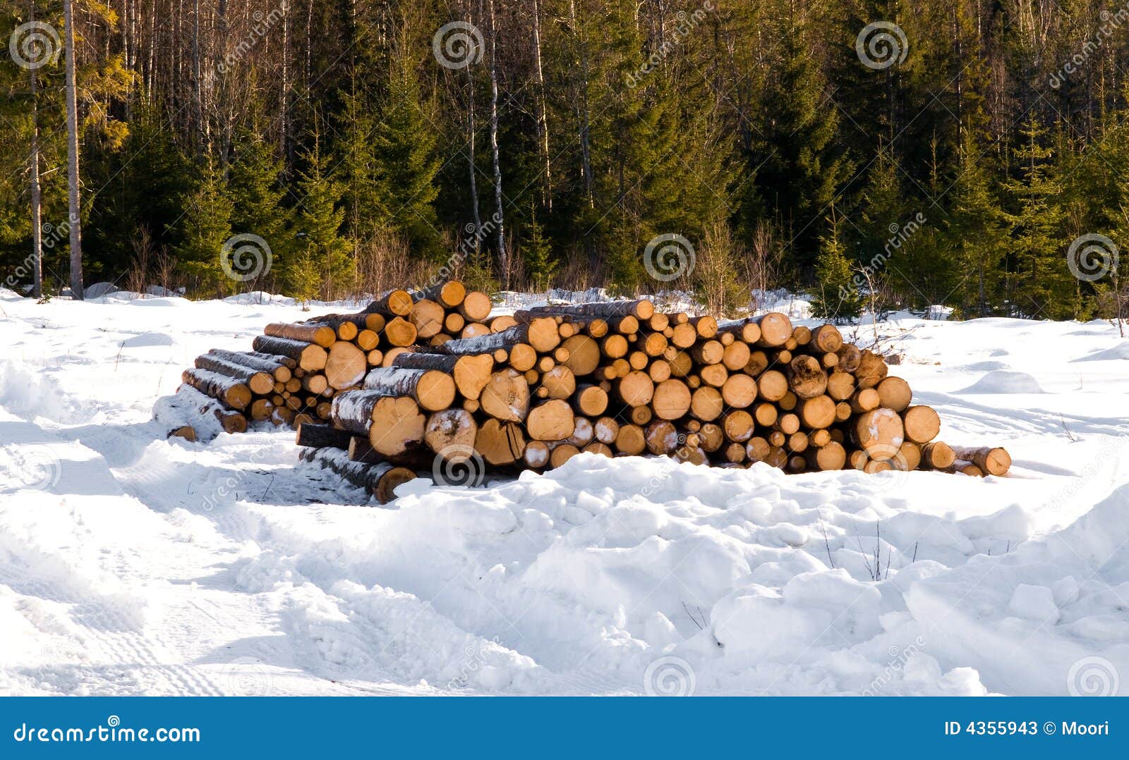 Timber stock image. Image of environmental, industry, timber - 4355943