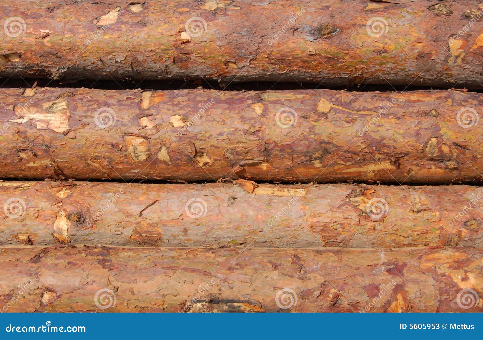 Timber stock image. Image of deforestation, horizontal - 5605953