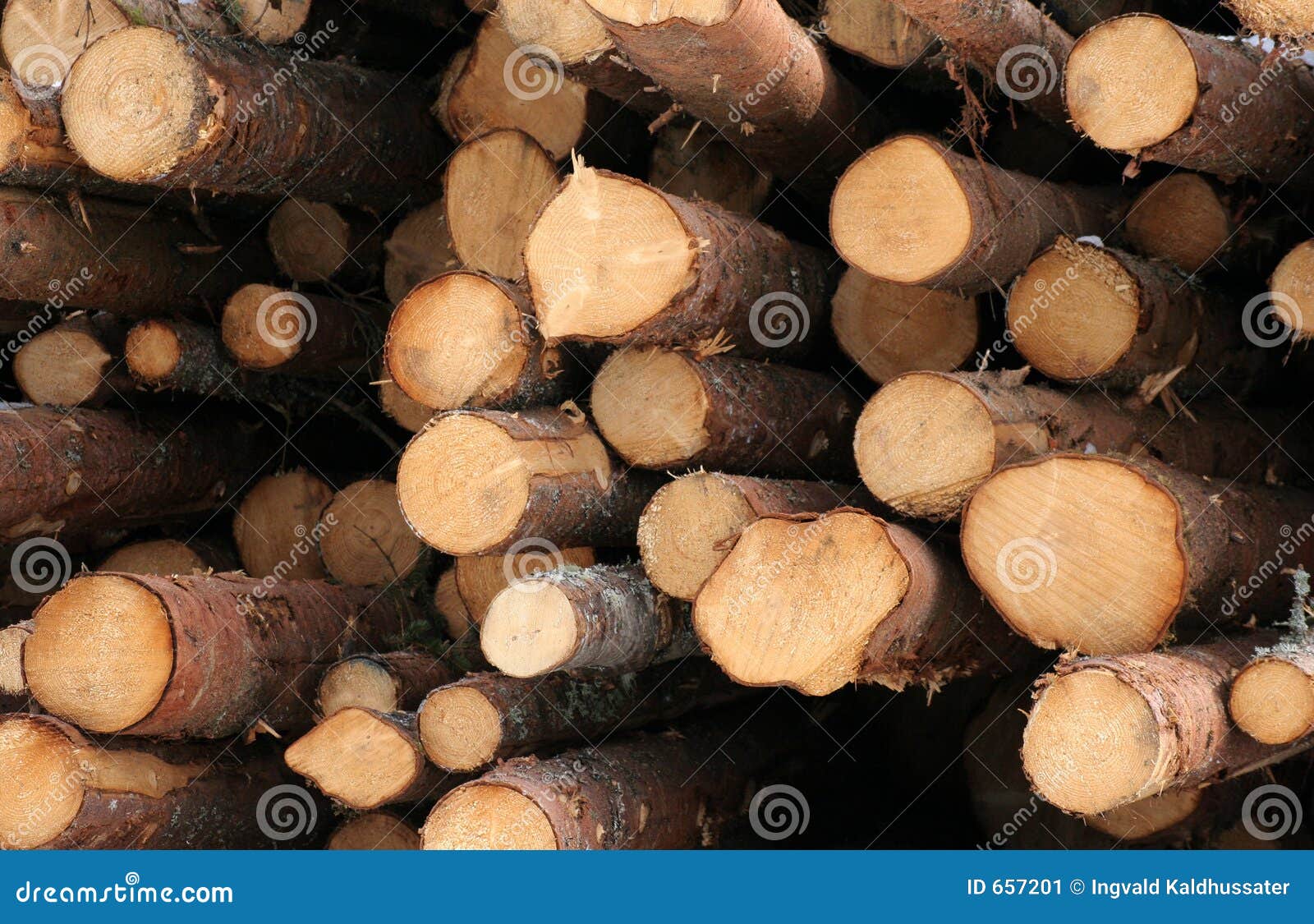 Timber stock image. Image of blue, drying, lumberjacking - 657201