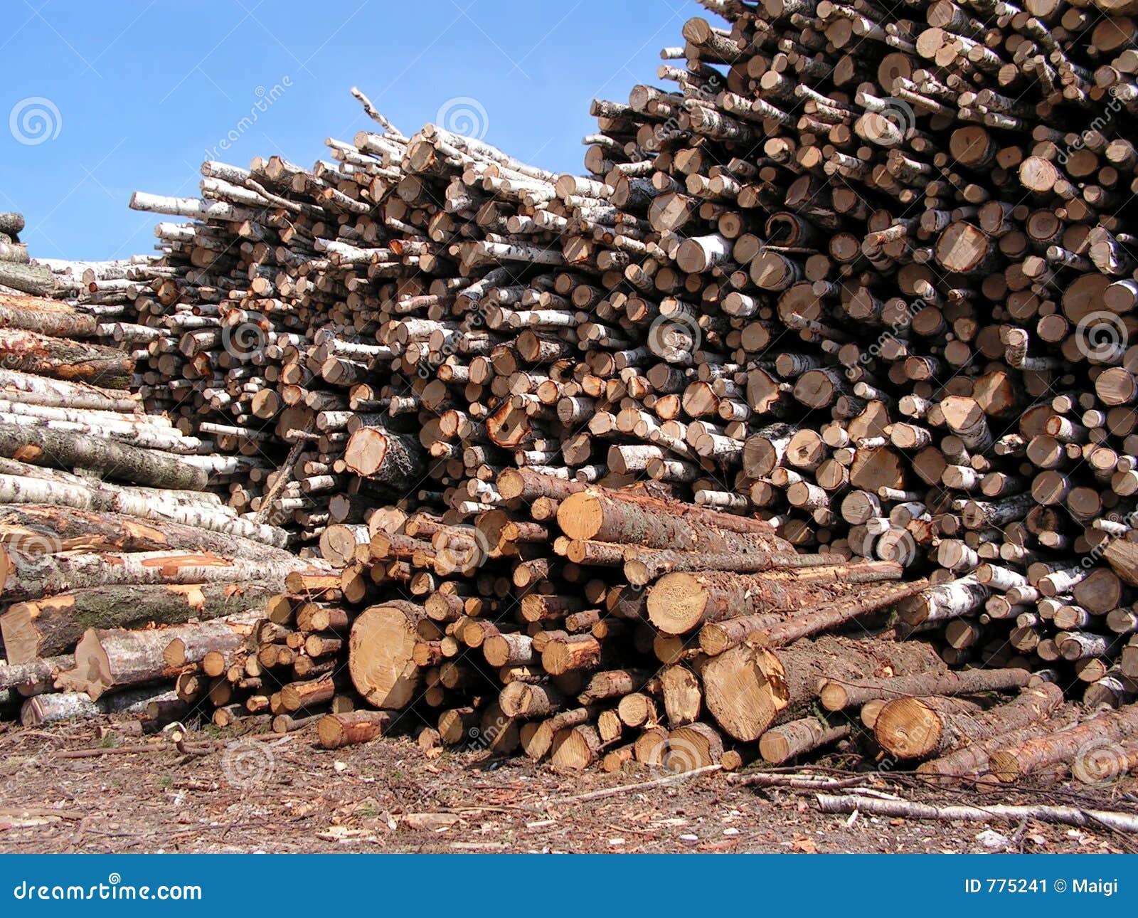 Timber stock image. Image of tree, wallpaper, woodpile - 775241