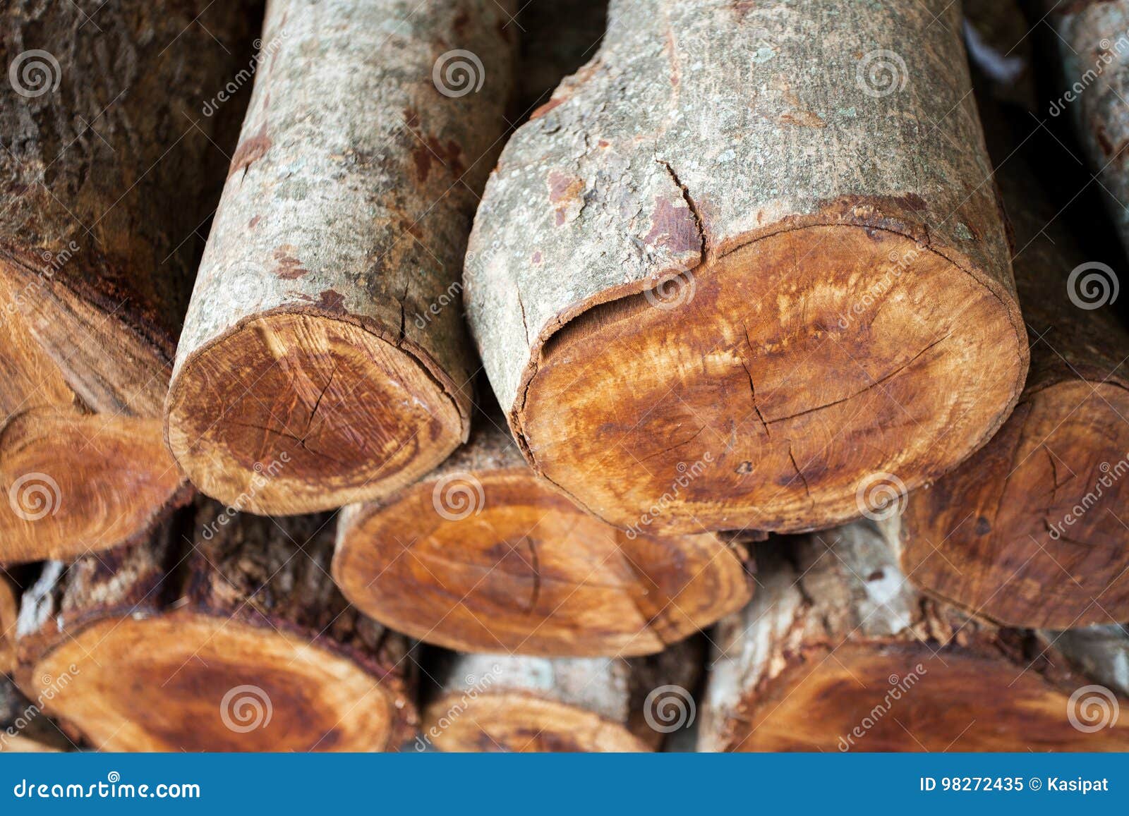 Timber stock image. Image of stick, logging, storage - 98272435