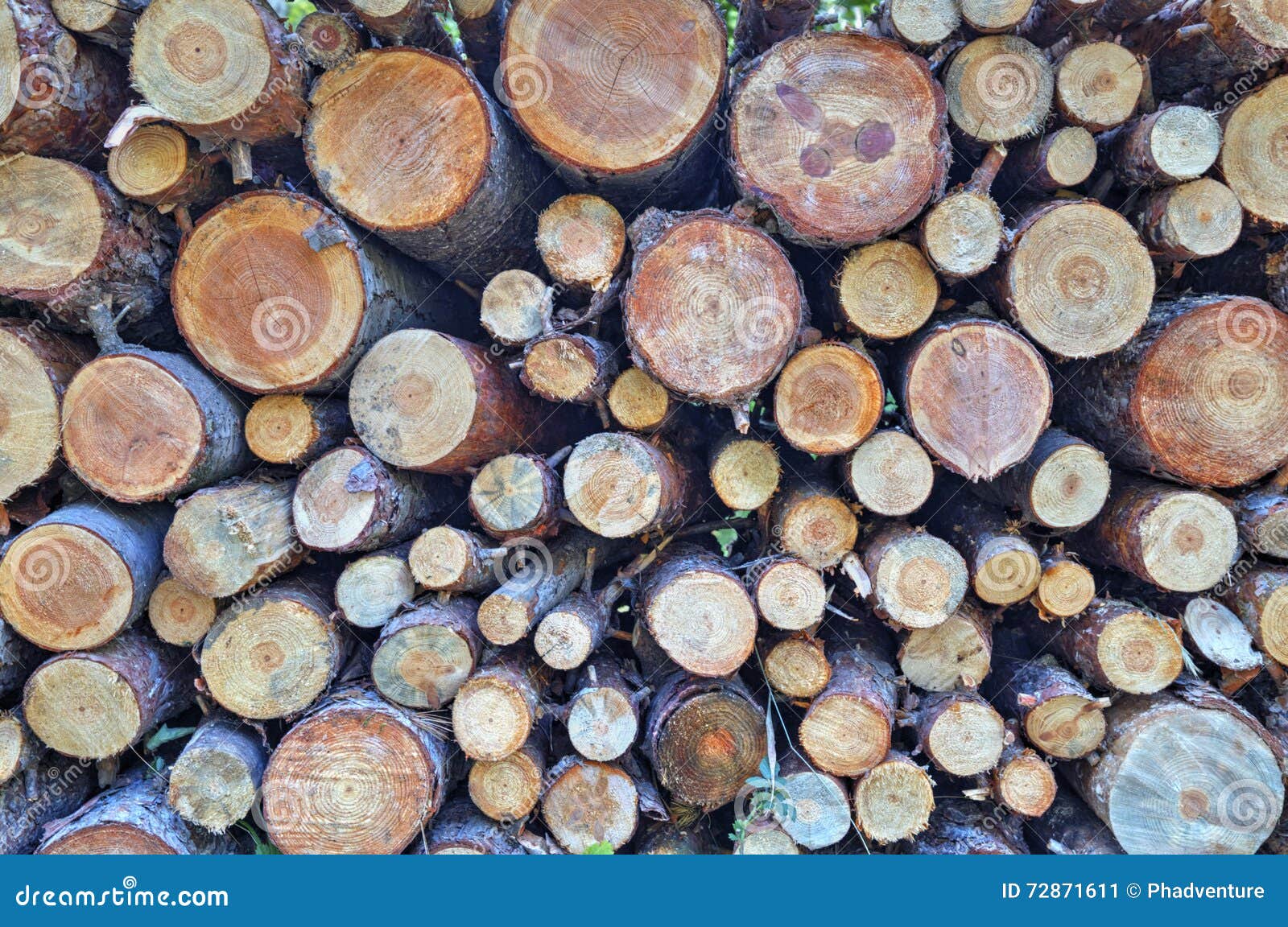 Timber background stock image. Image of plant, background - 72871611