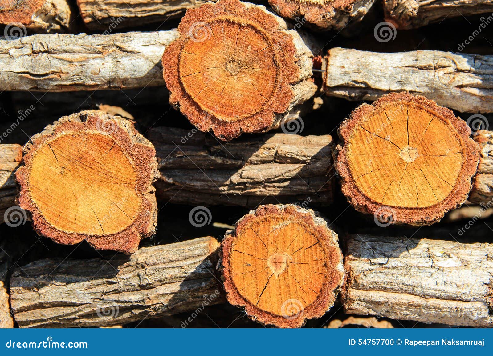 Timber background stock photo. Image of nature, stick - 54757700