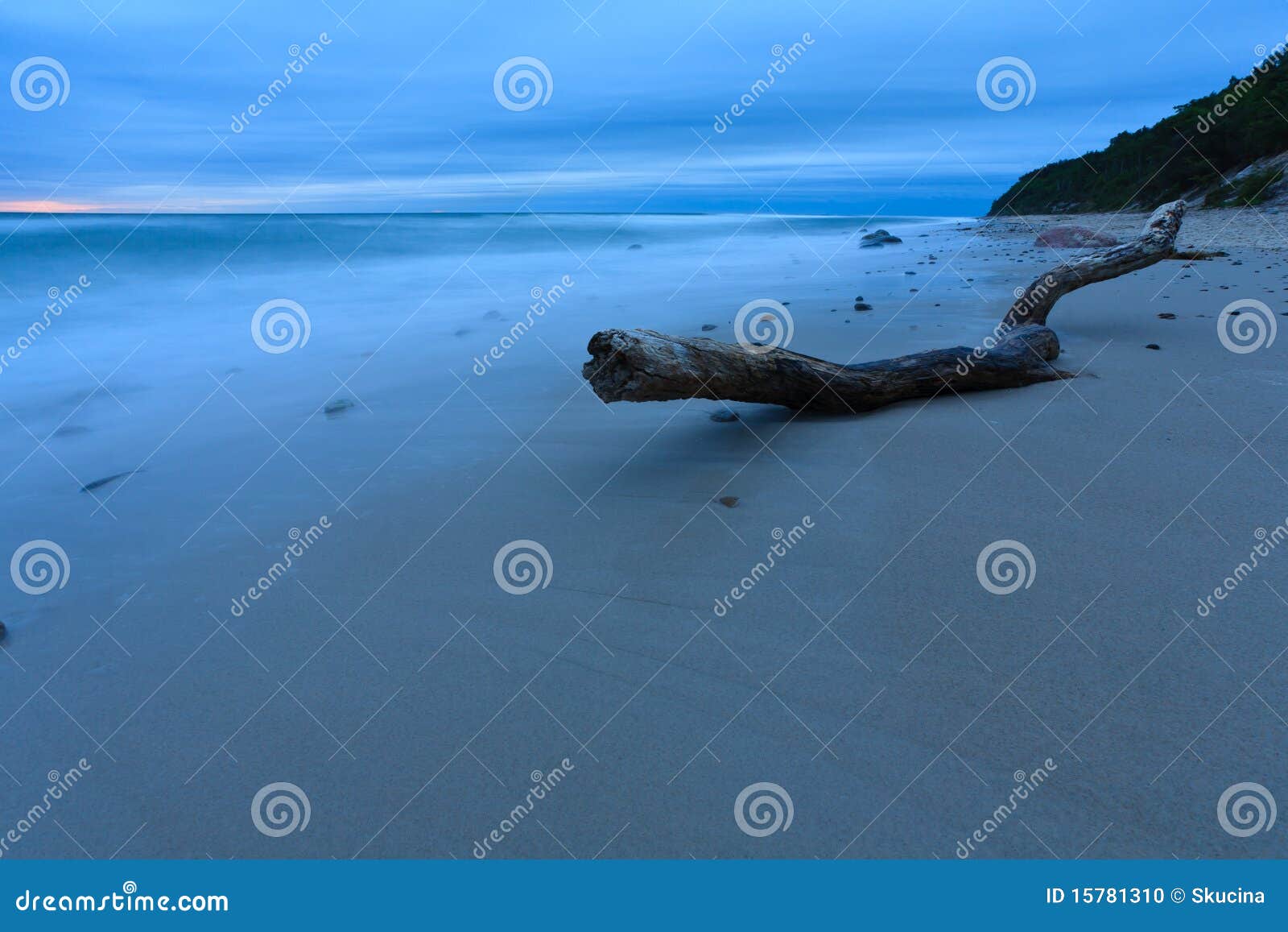 Timber on the beach stock photo. Image of wood, baltic - 15781310