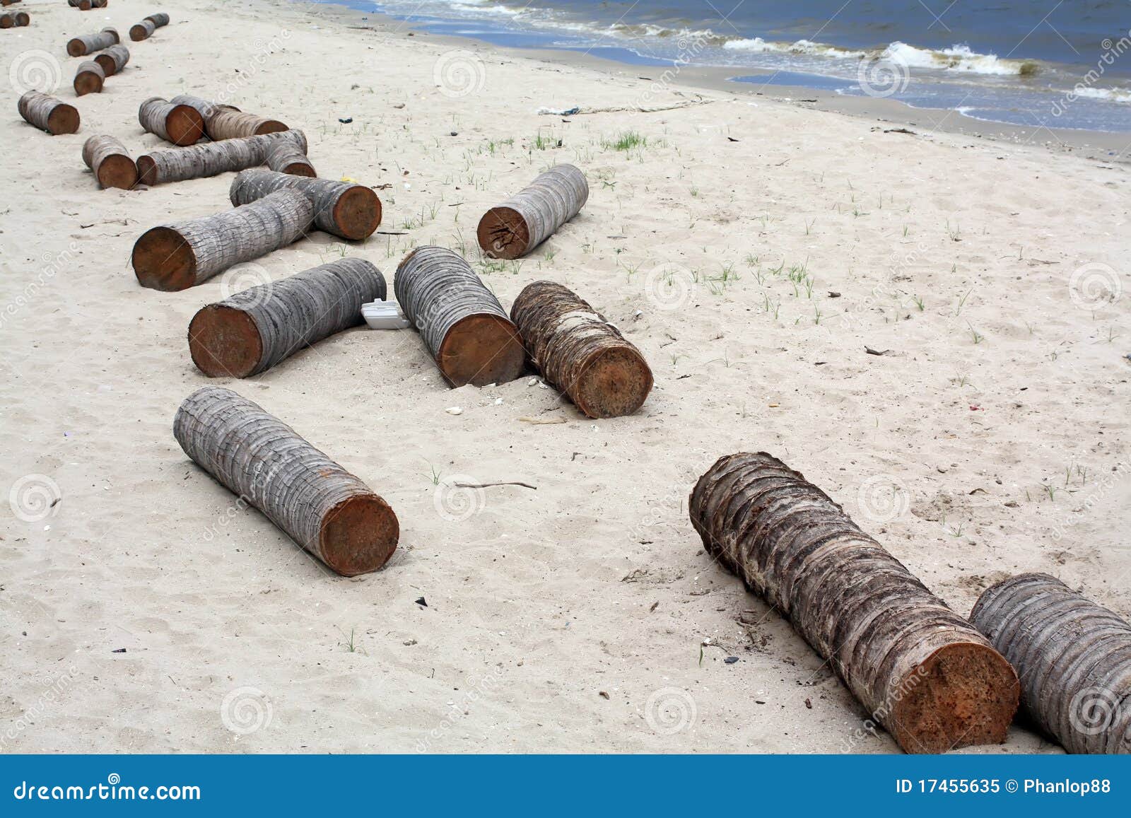 Timber on the beach stock image. Image of coastline, environment - 17455635