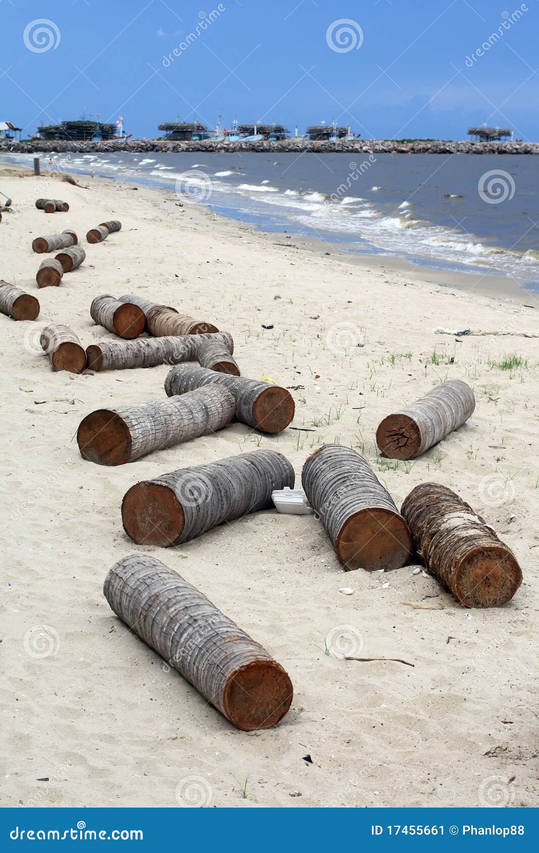 Timber on the beach stock image. Image of environment - 17455661