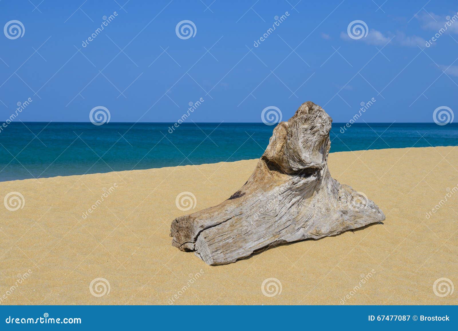 Timber on the beach stock image. Image of relaxation - 67477087