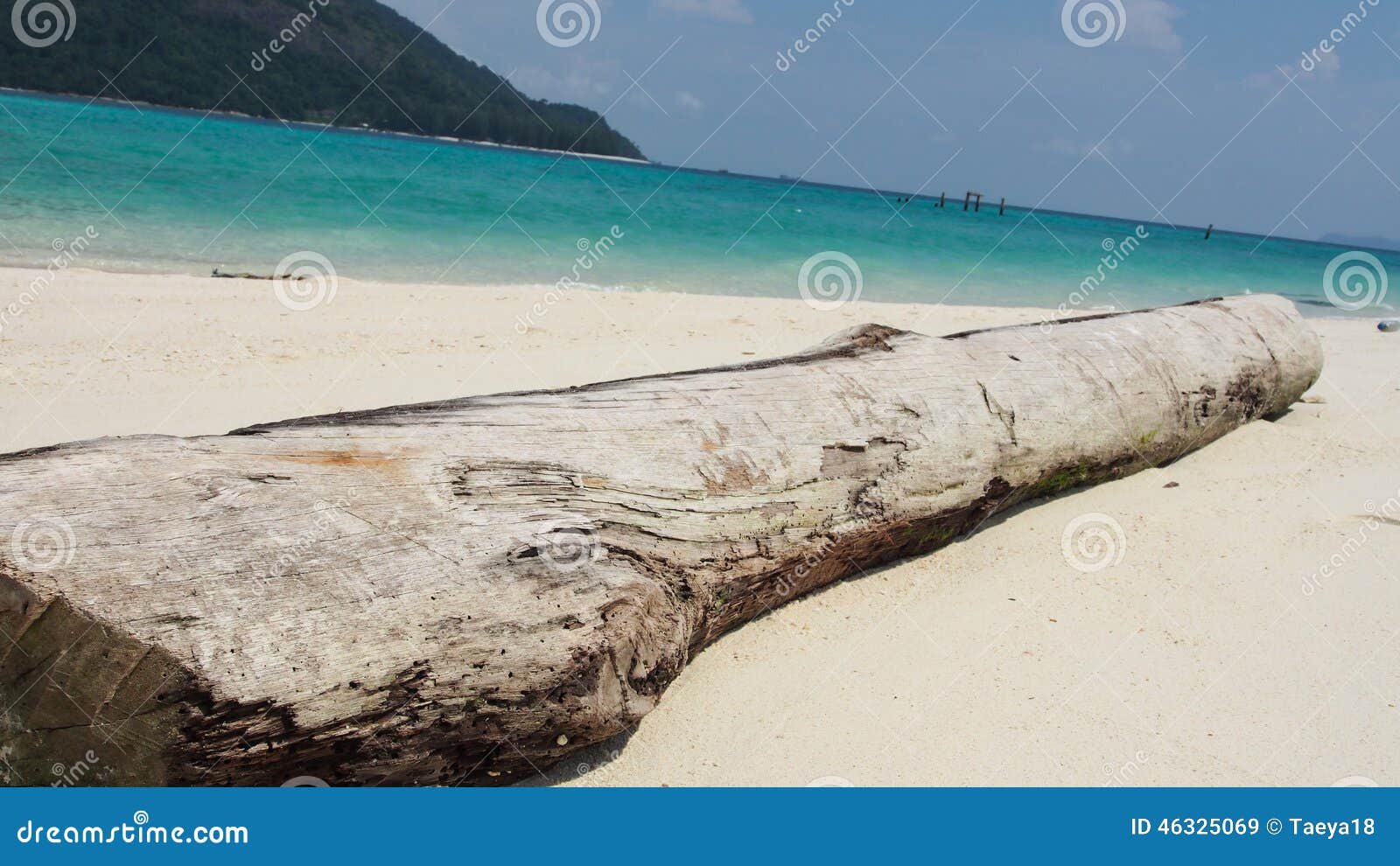 Timber on beach stock image. Image of dawn, nature, sand - 46325069