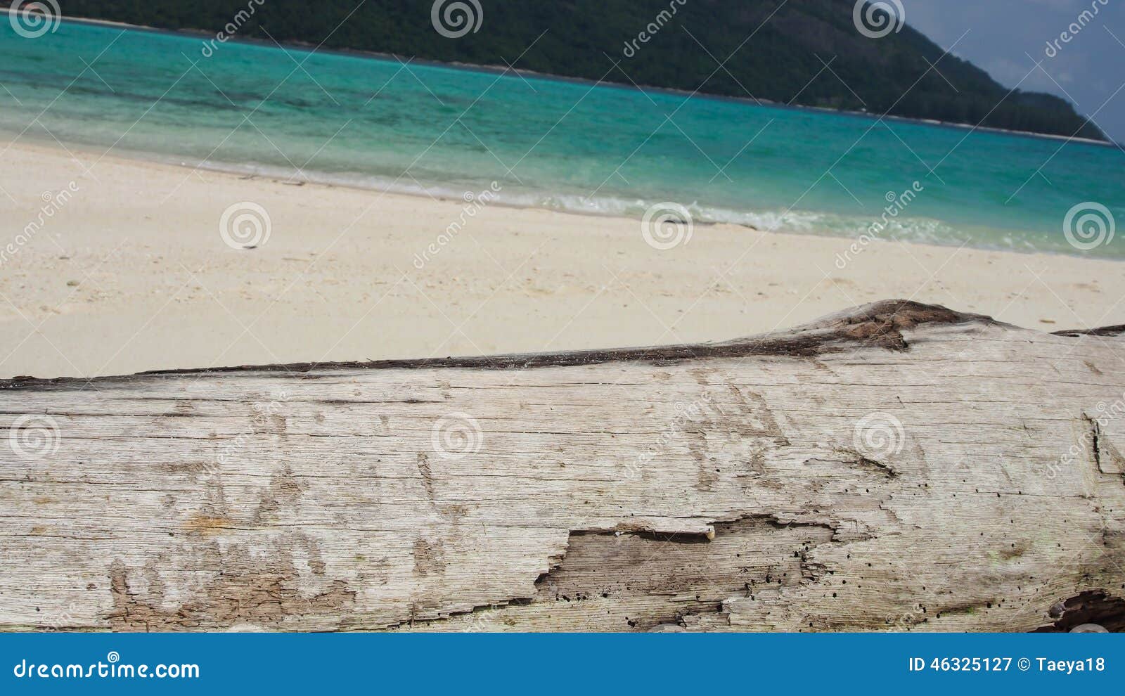 Timber on beach stock image. Image of beautiful, dawn - 46325127