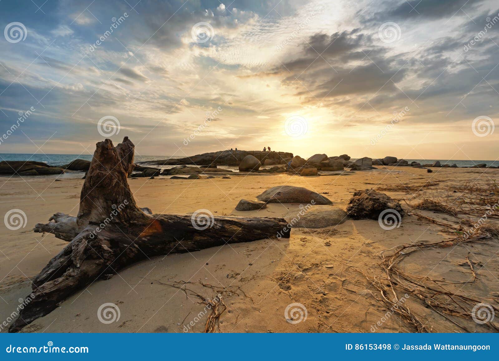 Timber on the Beach at Sunset Stock Photo - Image of smooth, nature ...
