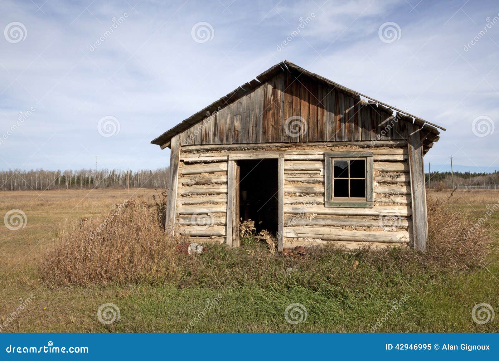 A timber cabin, Alberta stock image. Image of cabin, sands - 42946995