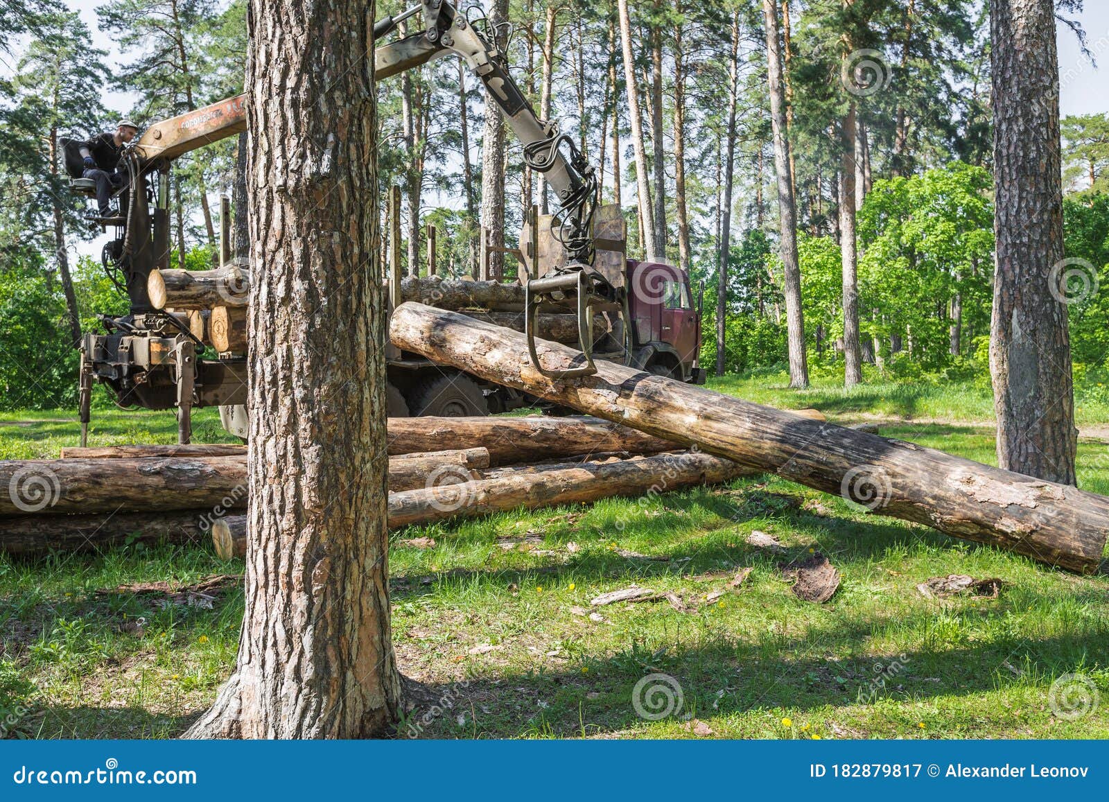 Timber carrier stock image. Image of manipulator, board - 182879817