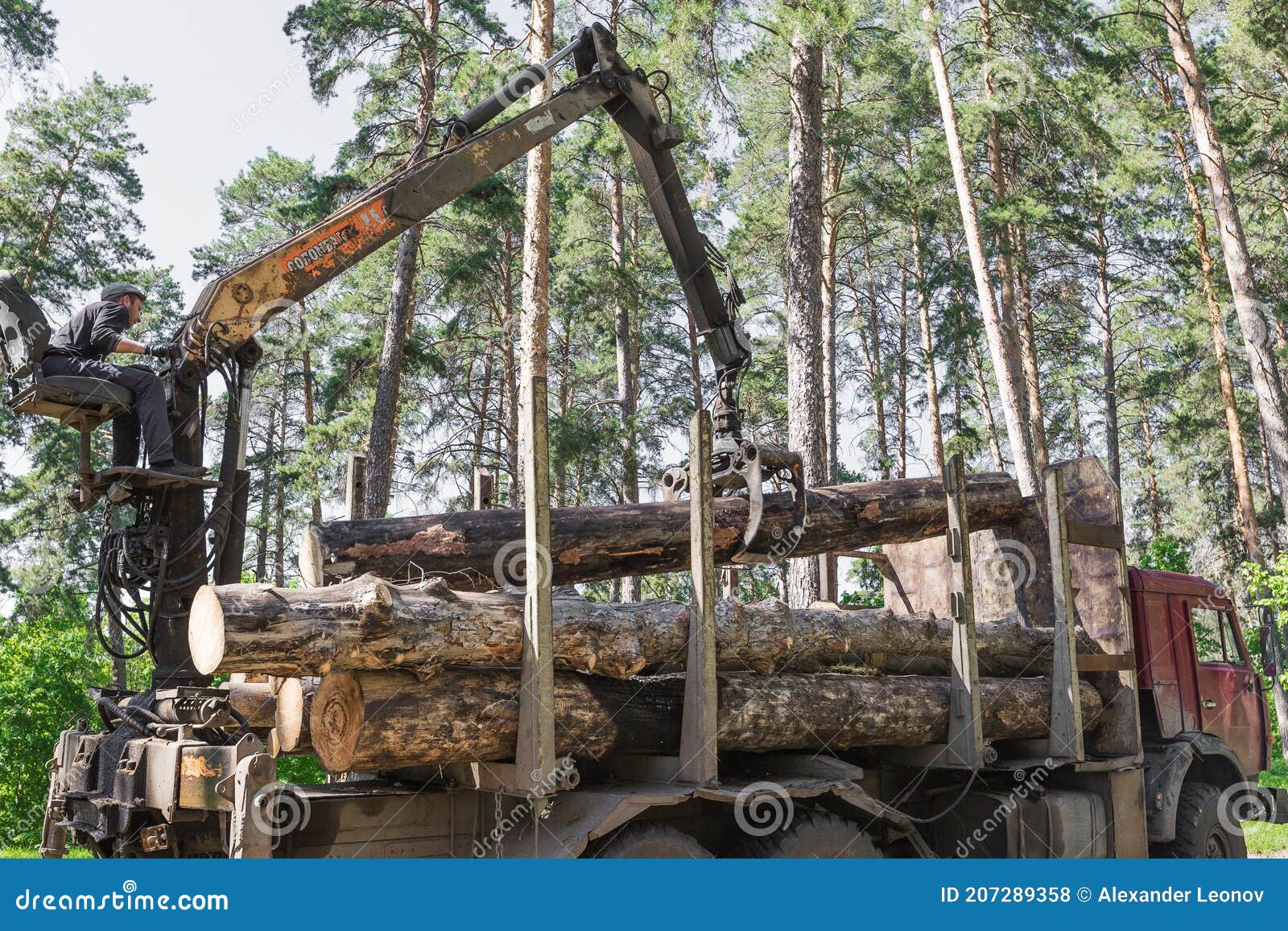 Timber carrier editorial stock photo. Image of forklift - 207289358