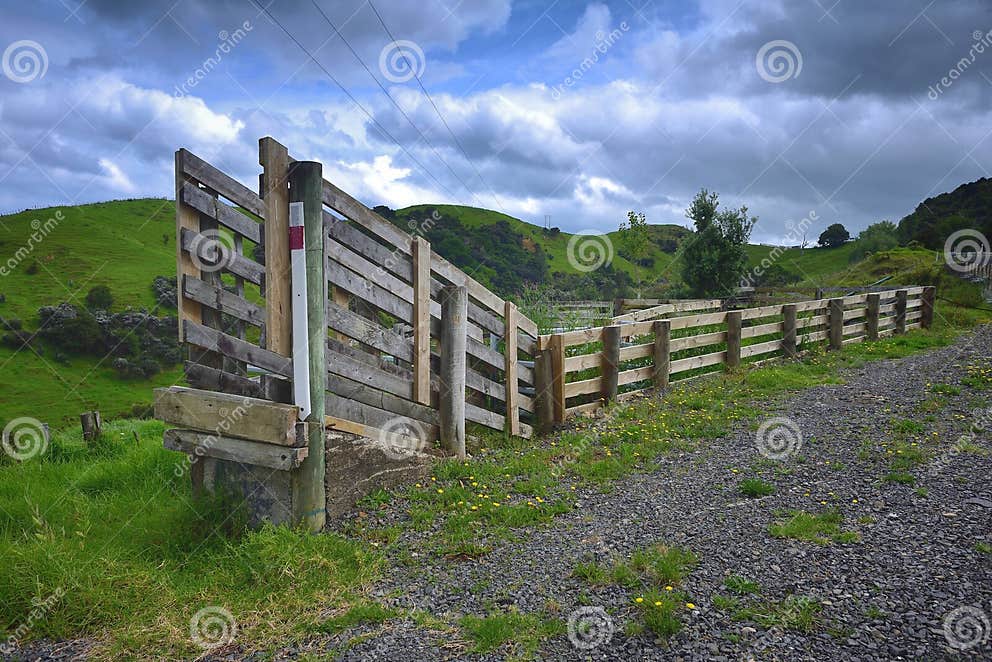 Timber Cattle Loading and Unloading Ramp Stock Image - Image of cattle ...