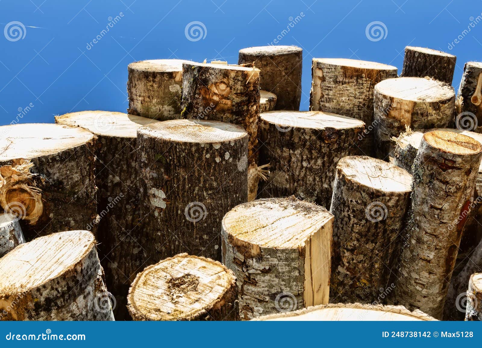 Timber Cutting. Stack of Spruce Logs Stock Photo - Image of drift ...