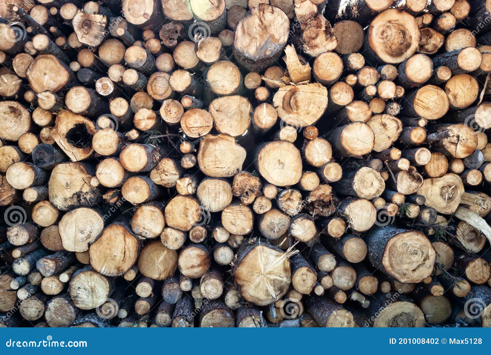 Timber Cutting. Stack of Spruce Logs Stock Photo - Image of cutover ...