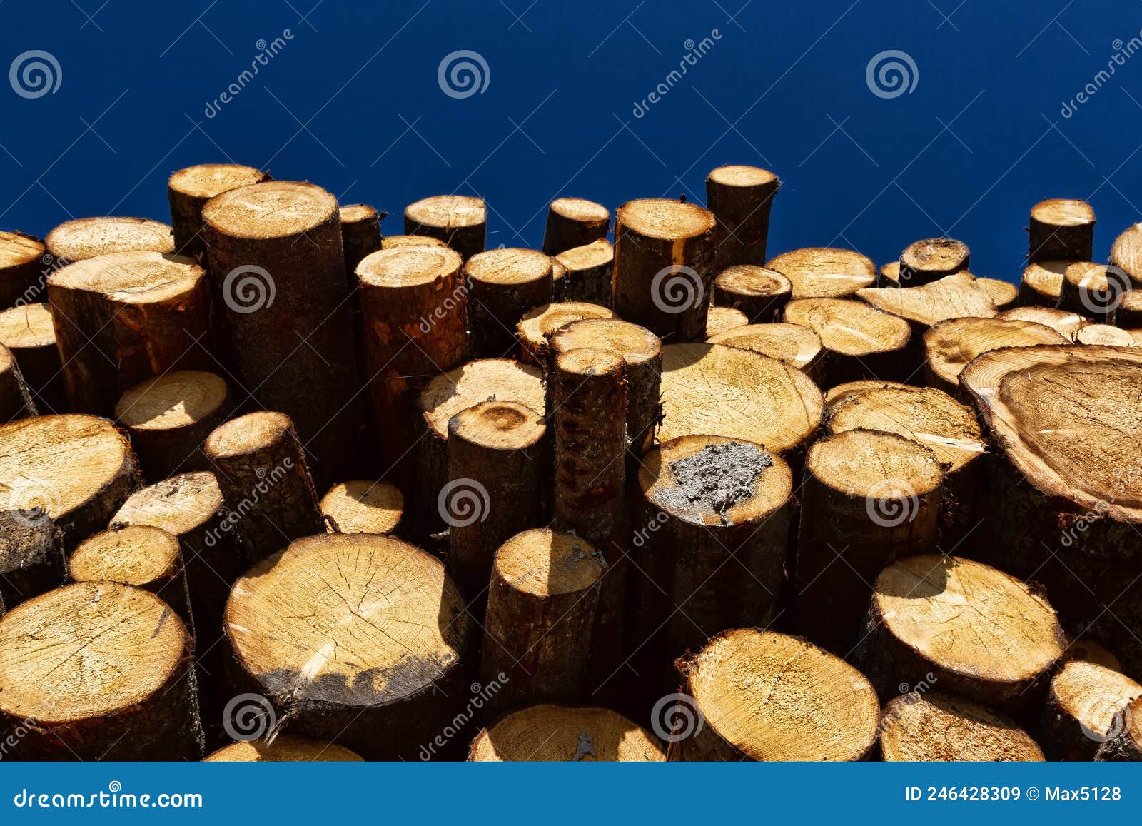Timber Cutting. Stack of Spruce Logs Stock Image - Image of cluster ...