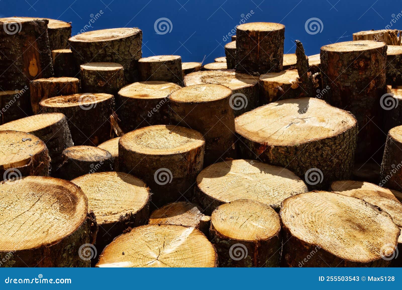 Timber Cutting. Stack of Spruce Logs Stock Image - Image of harvest ...