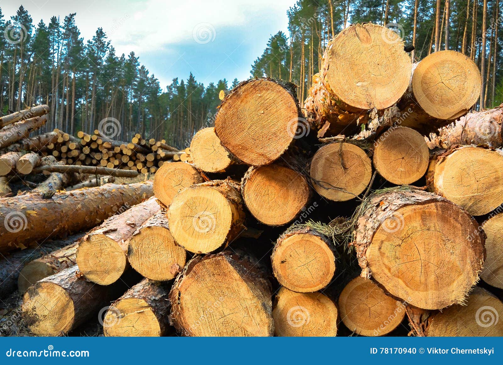 Timber stock photo. Image of logs, building, forest, spruce - 78170940