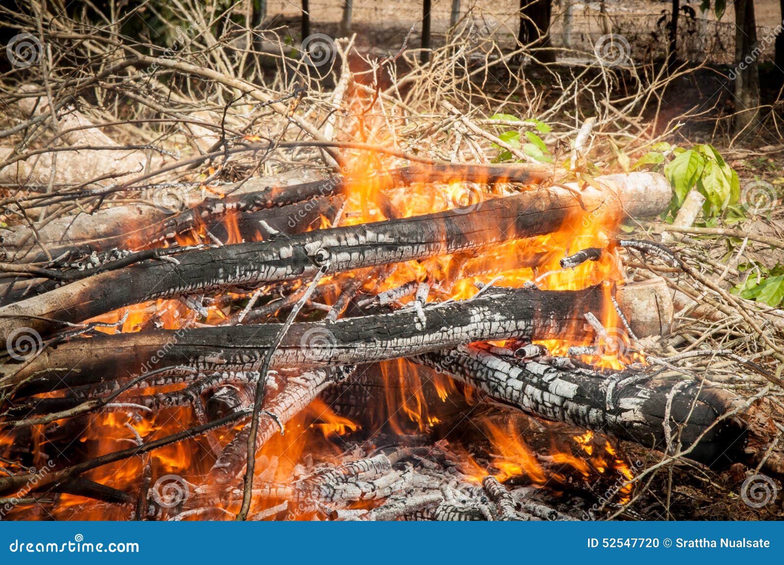 Timber fire stock photo. Image of orange, ground, outdoor - 52547720