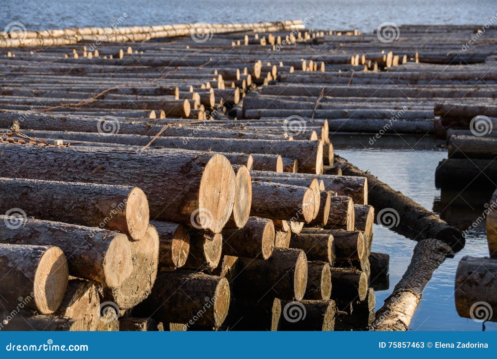 Timber Floating on the River Stock Image - Image of freight ...