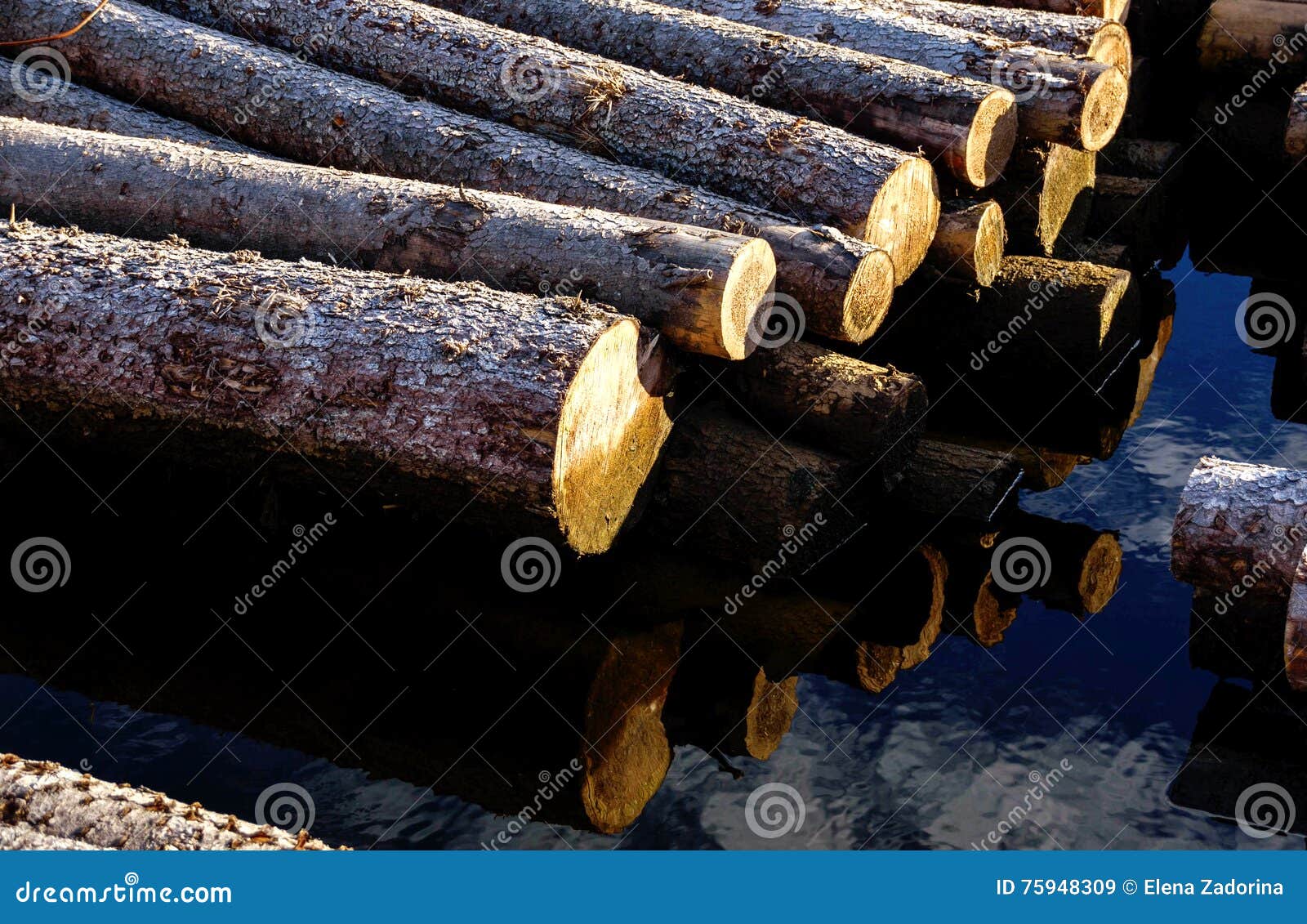 Timber Floating on the River Stock Image - Image of freight, river ...