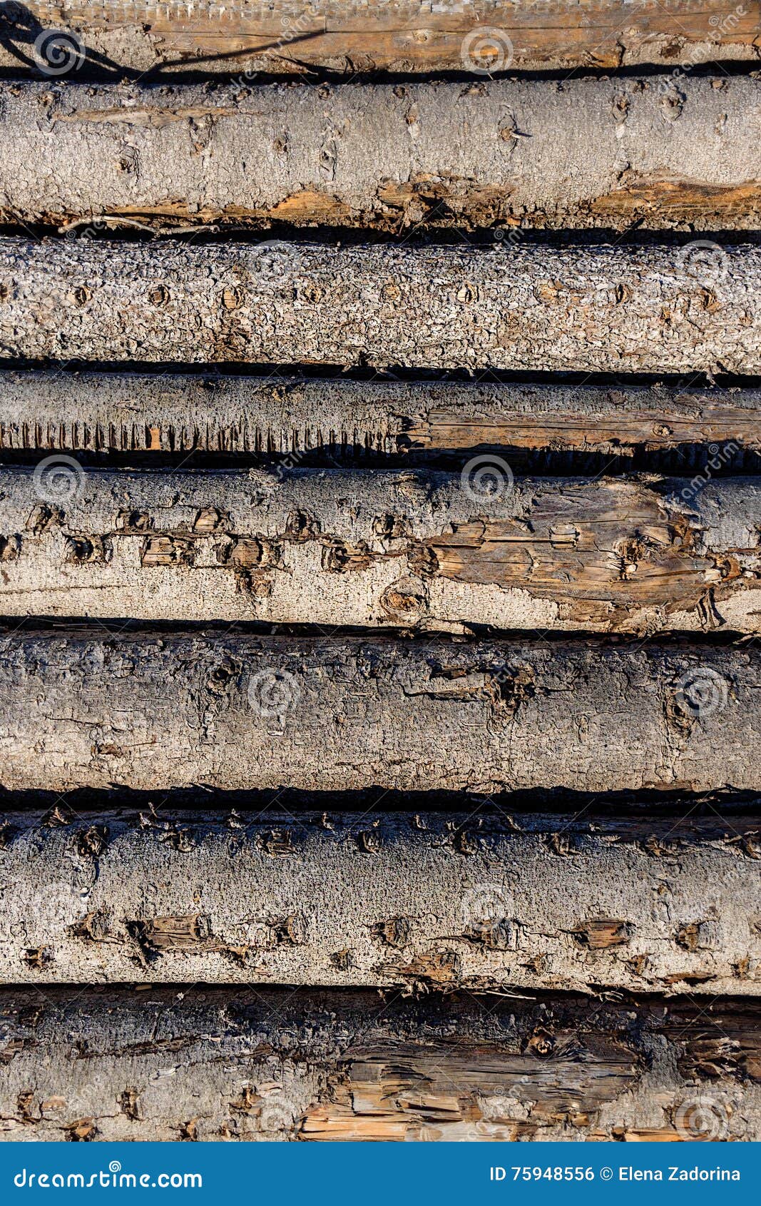 Timber Floating on the River Stock Photo - Image of angle, grass: 75948556